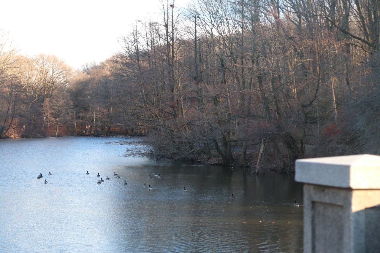 Staten Islanders visit local parks to enjoy spring-like weather ...