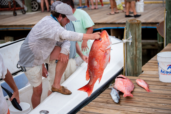 2019 Alabama Deep Sea Fishing Rodeo - al.com