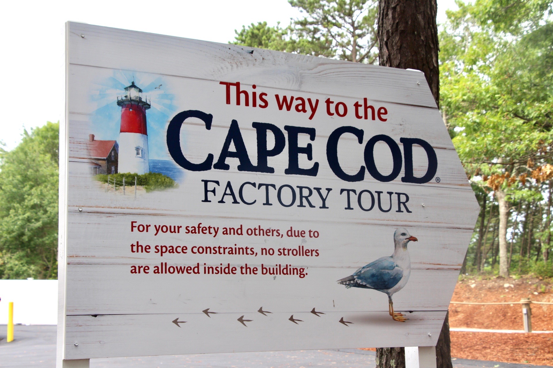 Take a virtual tour of the Cape Cod Potato Chips factory - masslive.com