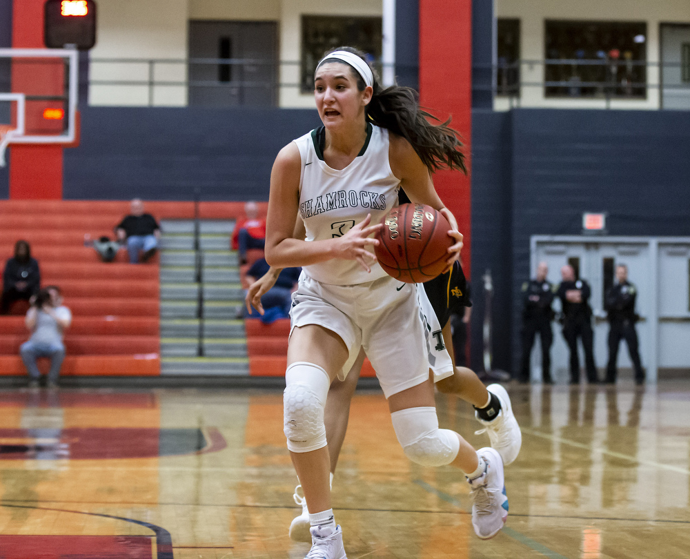 Trinity vs Notre Dame-Green Pond in second round of PIAA Class 3A girls ...