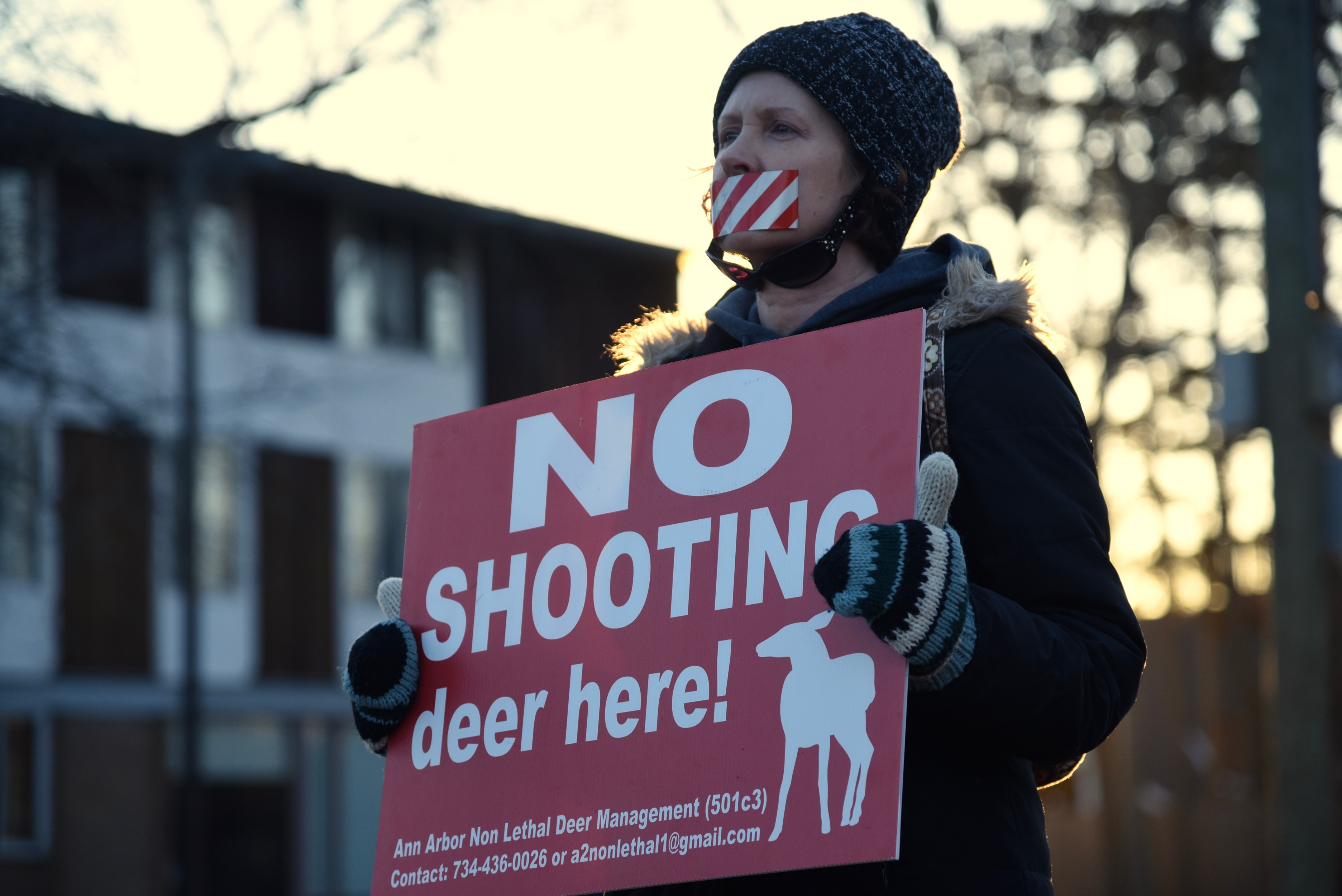 Ann Arbor deer cull protest outside University of Michigan Nichols ...