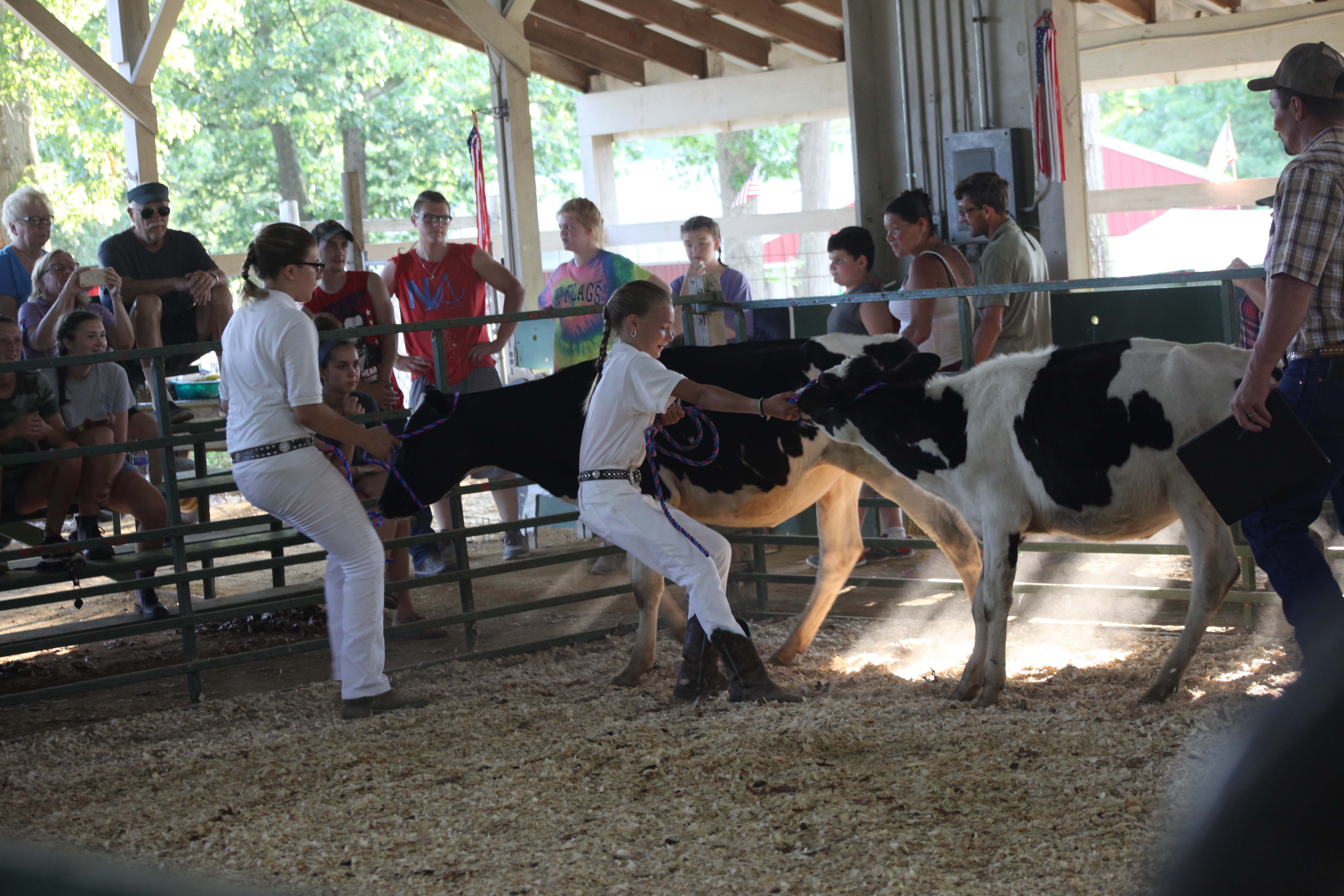 Cumberland County Fair 2019 has something fun for everyone - nj.com