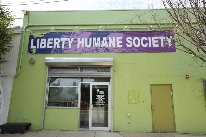 Hurricane Dorian Animals at Liberty Humane Society - nj.com
