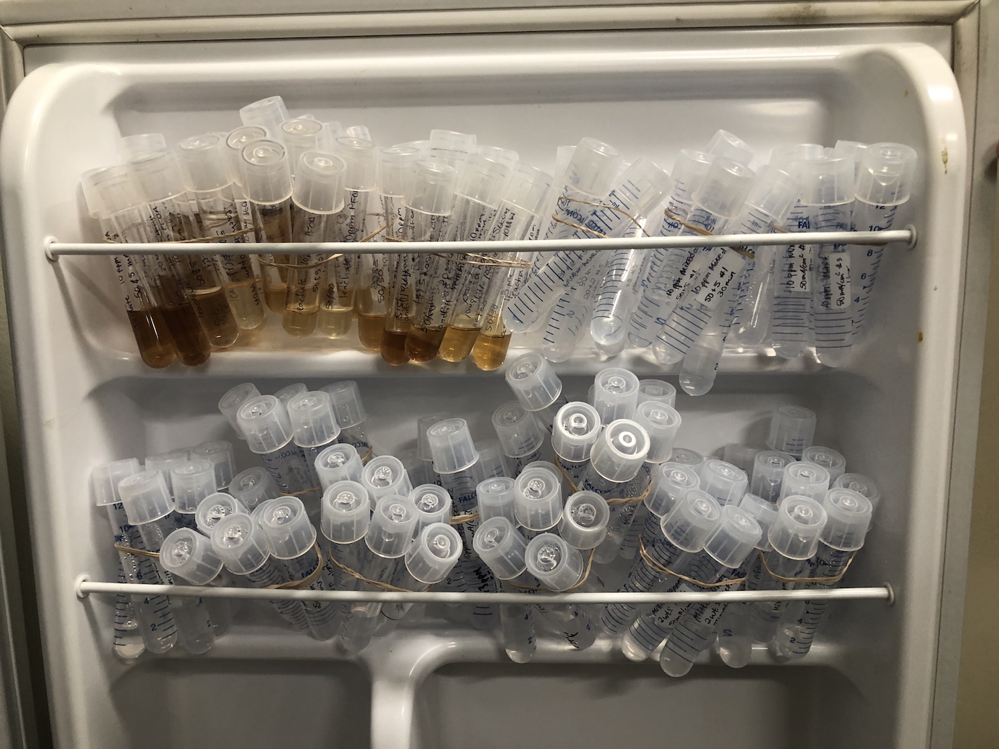 MSU-Fraunhofer lab develops PFAS treatment - mlive.com