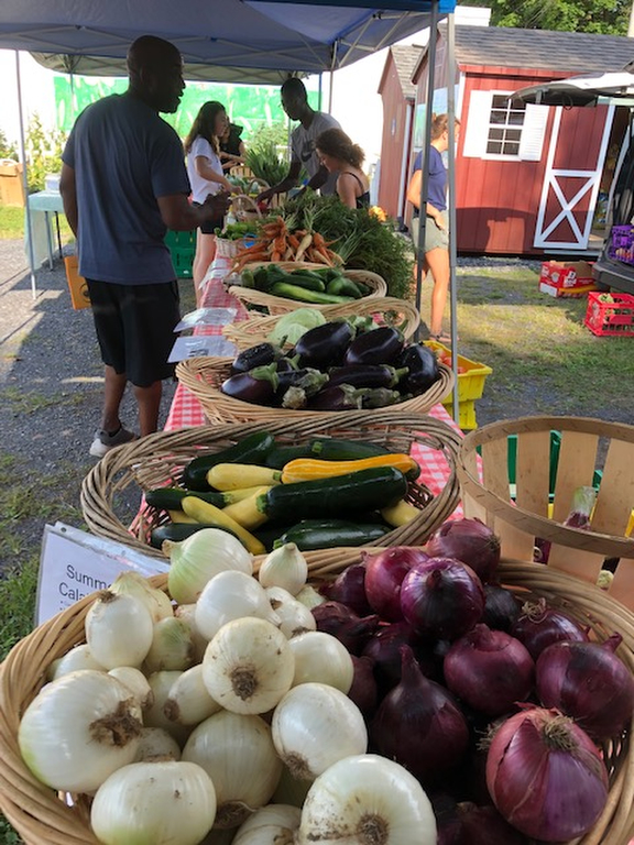 Vegetables in the Community helps feed Easton - lehighvalleylive.com