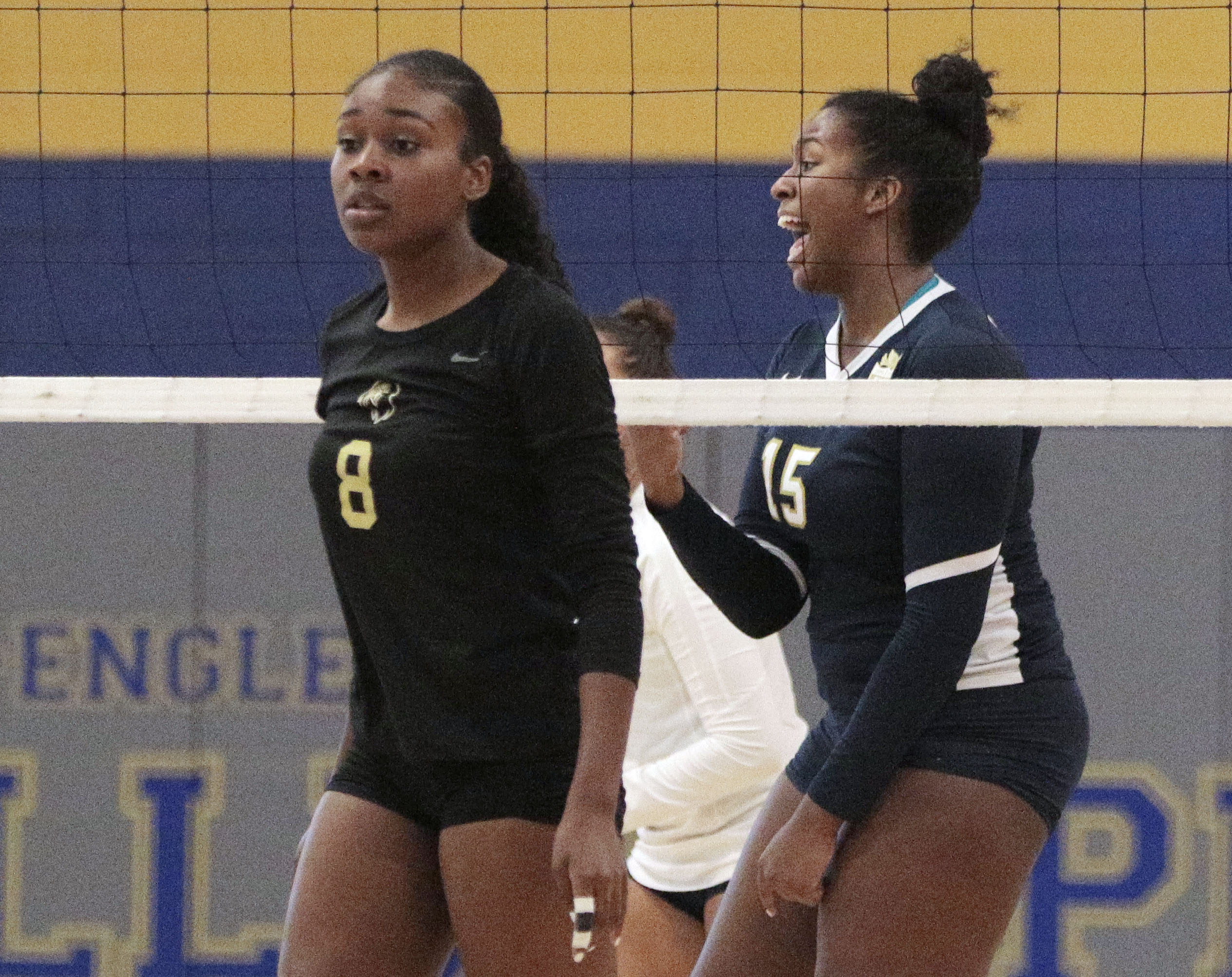 Girls Volleyball: No. 3 Dwight-Englewood defeats No. 10 Hudson Catholic ...