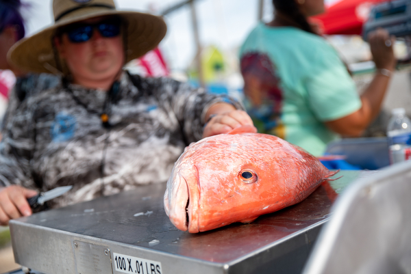 2019 Alabama Deep Sea Fishing Rodeo - al.com