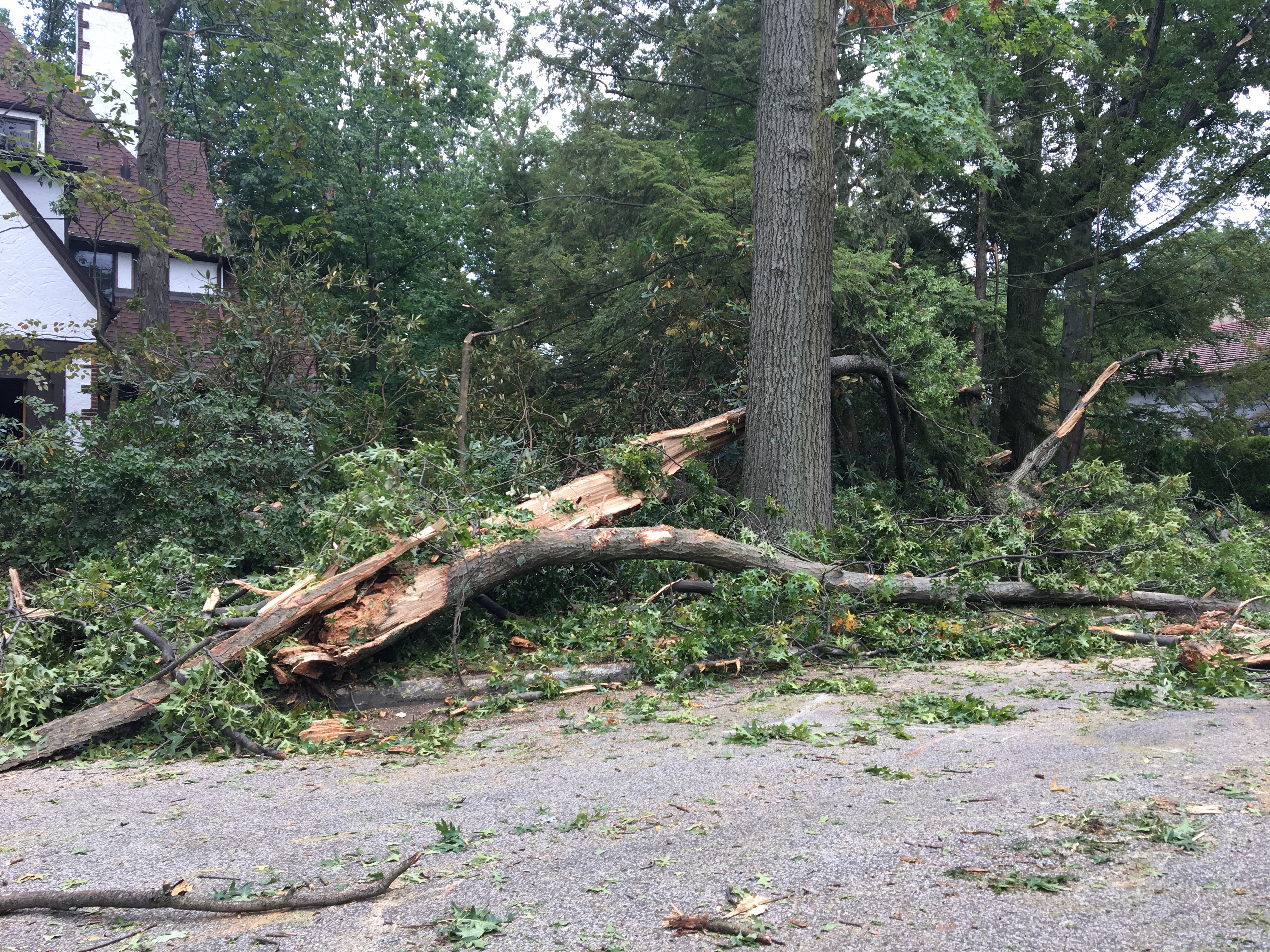 Possible microburst causes significant storm damage in Cleveland ...