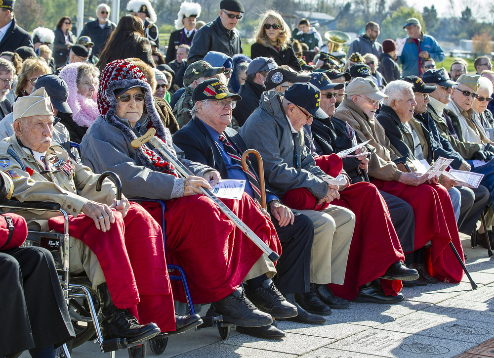 WWII veterans gather for unveiling ceremony - pennlive.com