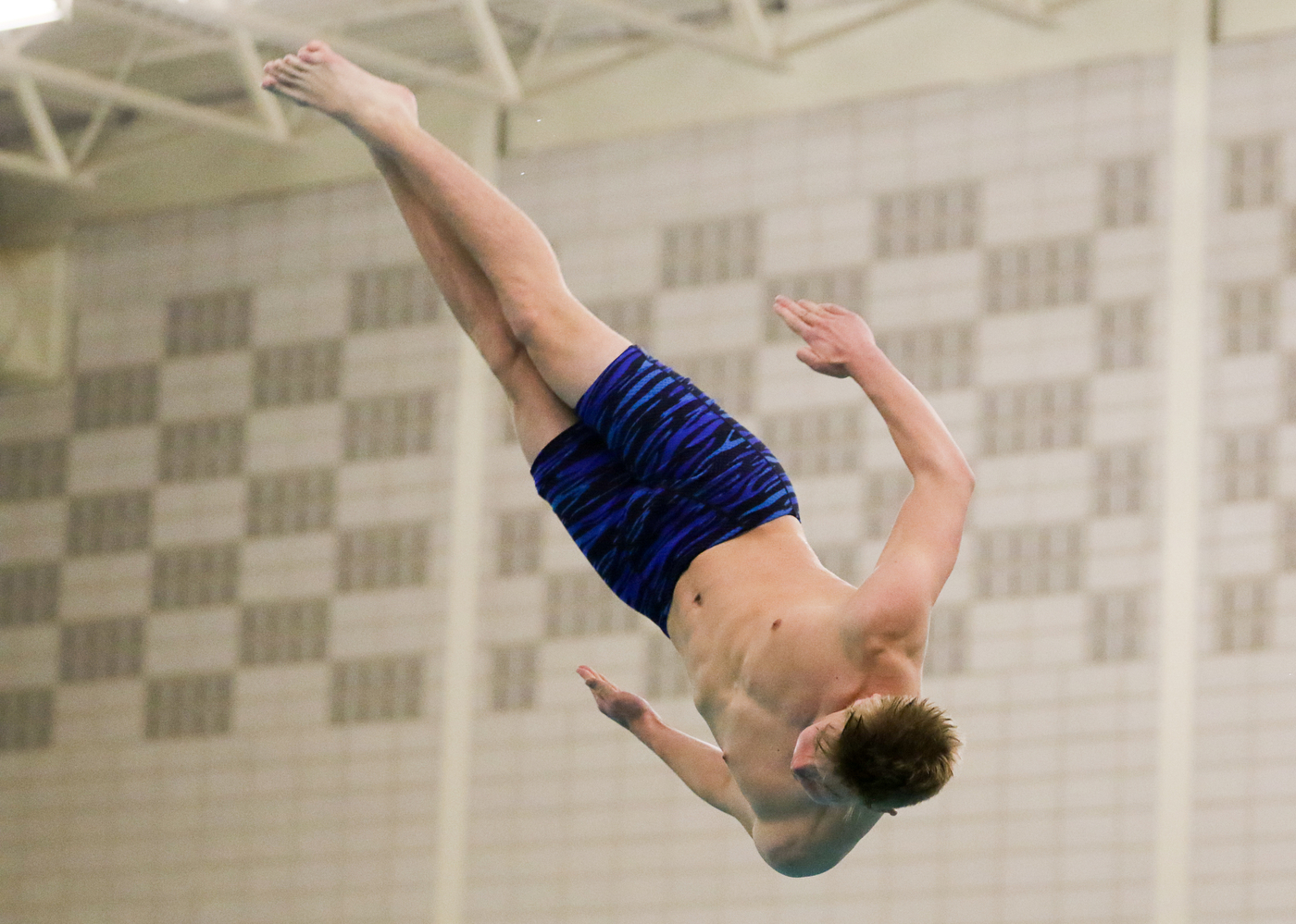2020 NJSIAA Boys Diving Championship in Skillman on 2/26/2020 - nj.com