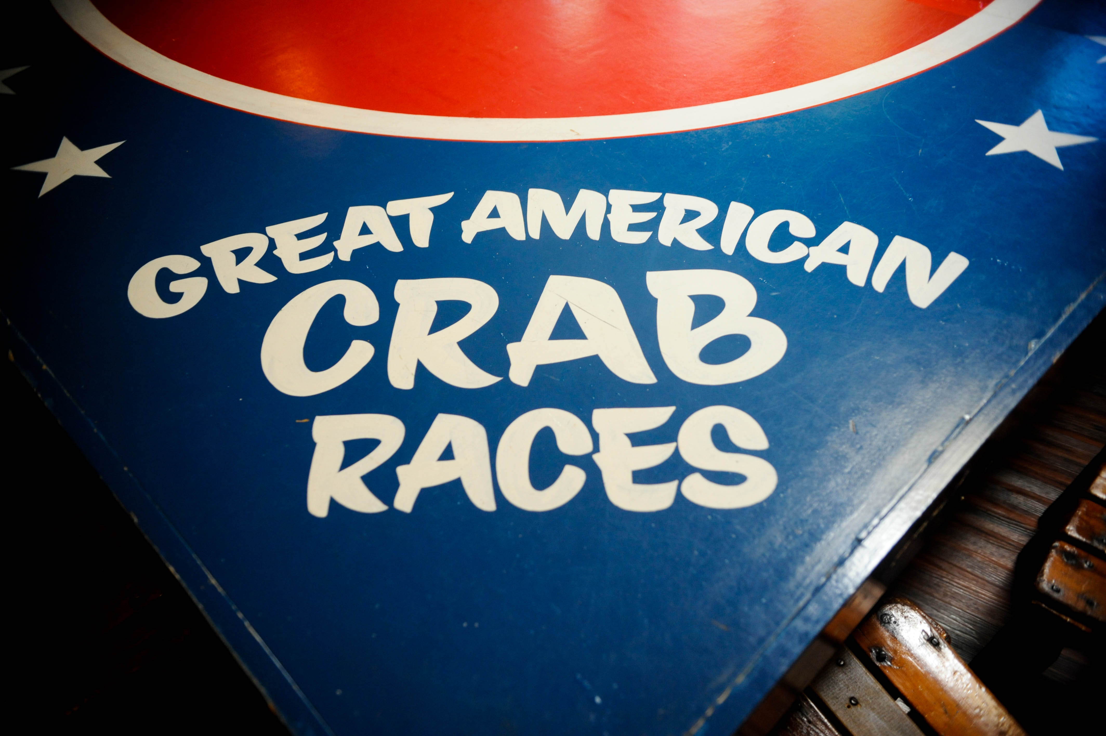 Crabs compete at the annual Great American Crab Races - mlive.com