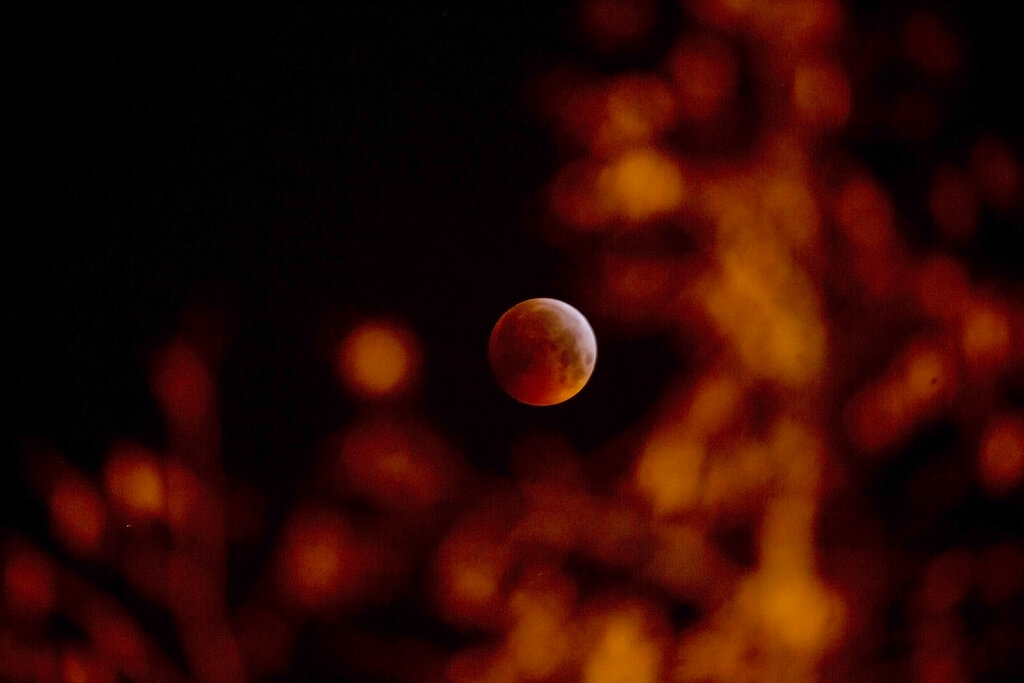 Super Blood Wolf Moon 2019 - cleveland.com