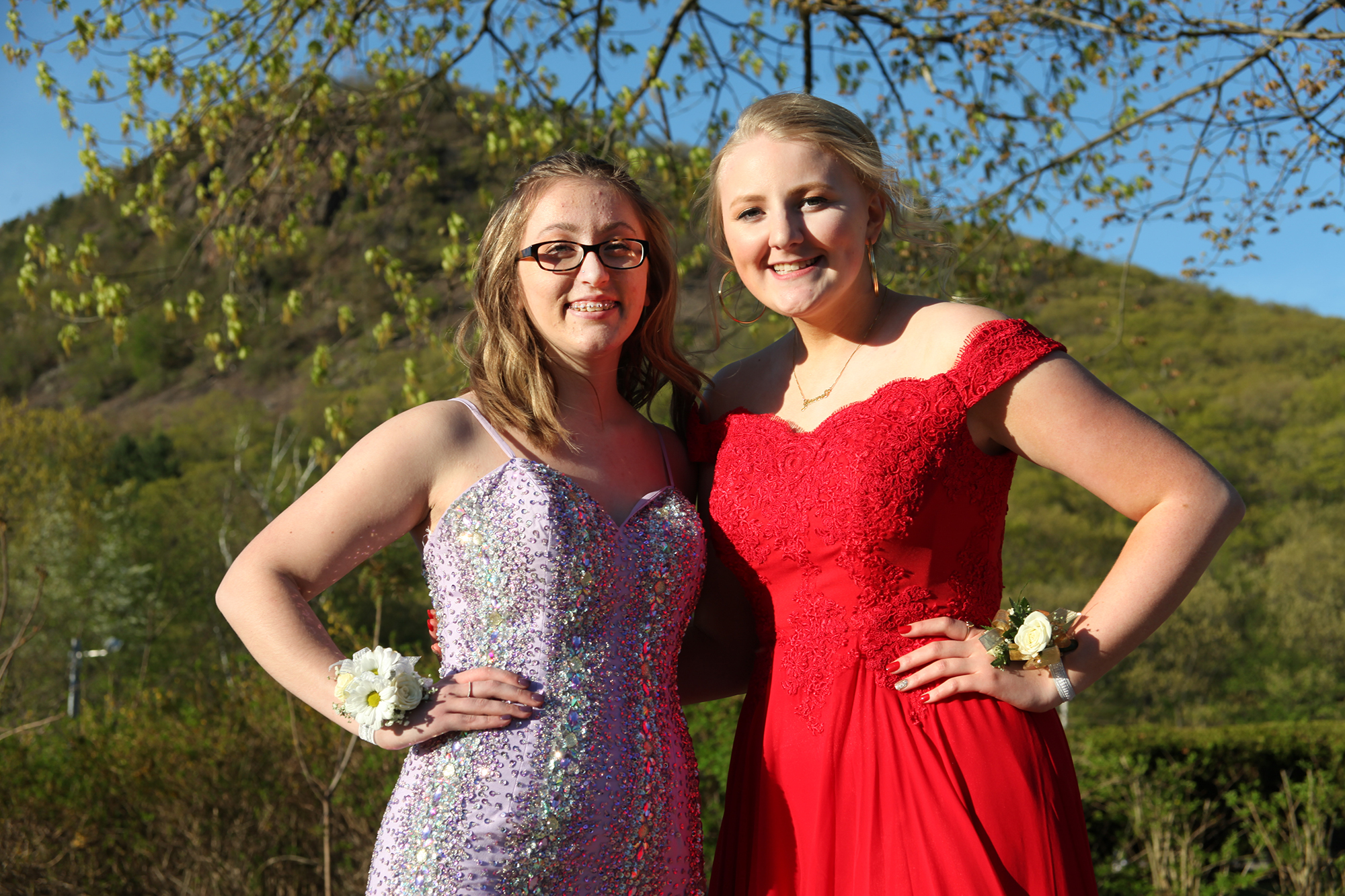 2019 Prom Photos: Turners Falls High School prom at The Log Cabin in ...