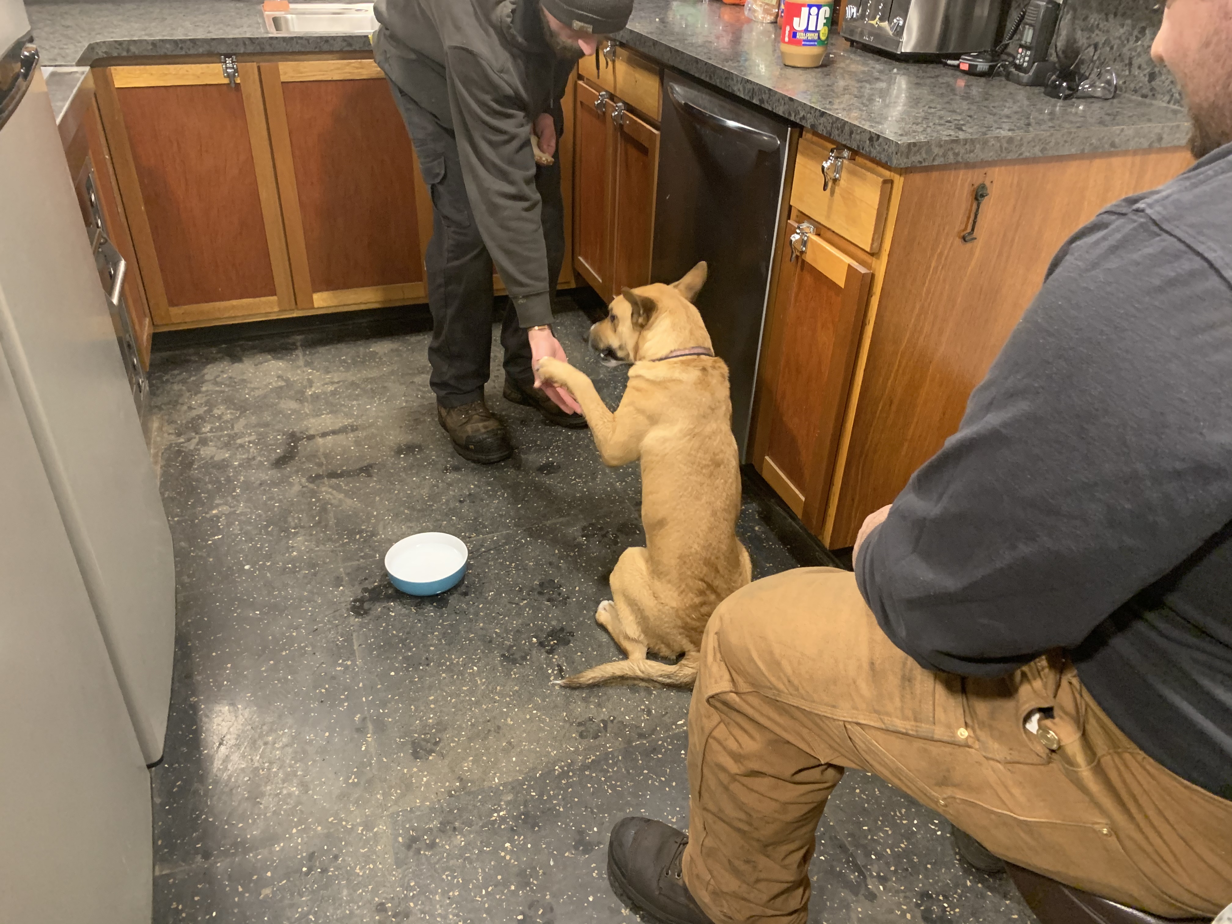 Dog rescued off ice floe in Muskegon Lake - mlive.com