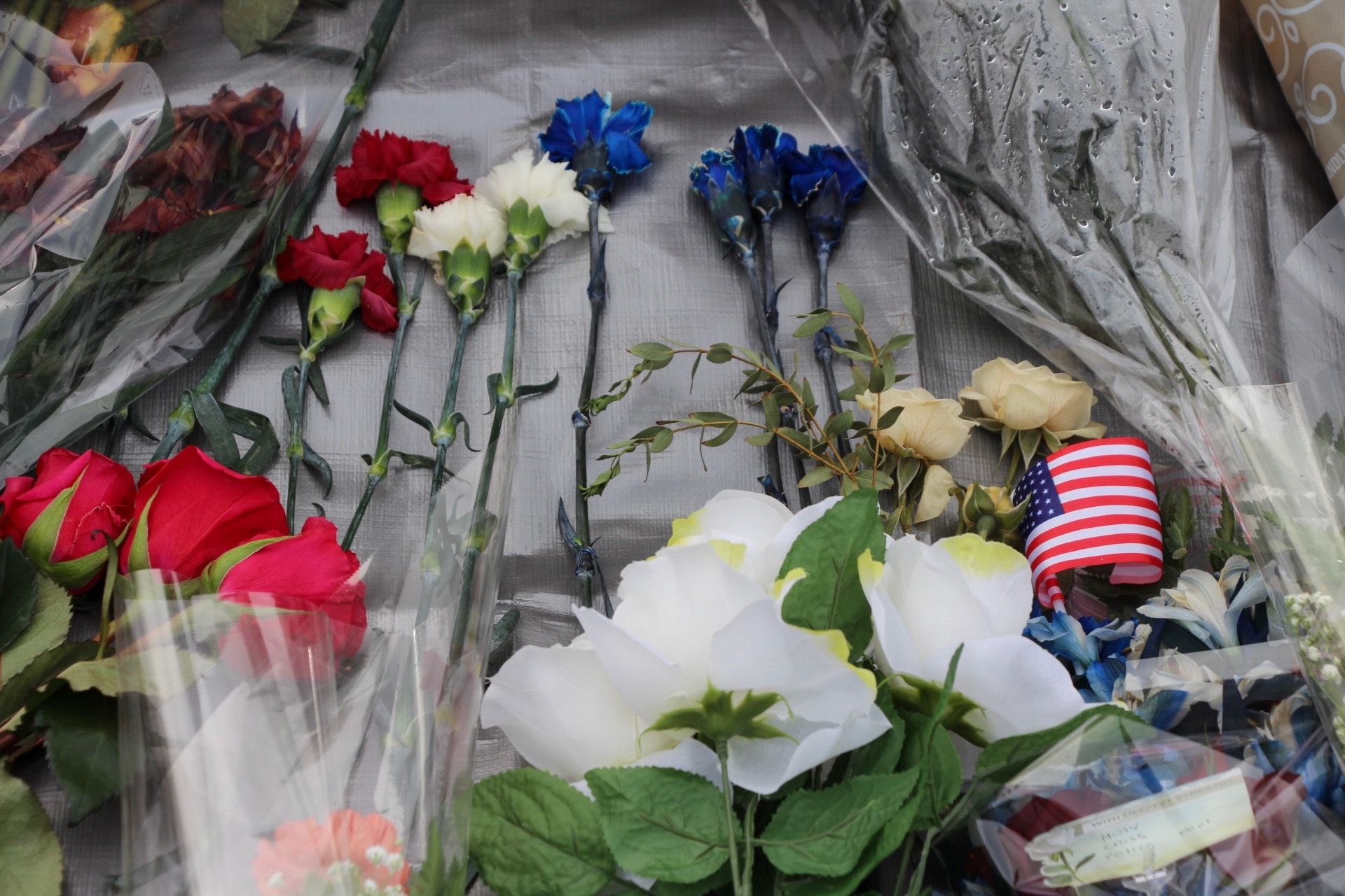 Stockholm Street fire in Worcester claims life of WFD Lt. Jason Menard ...