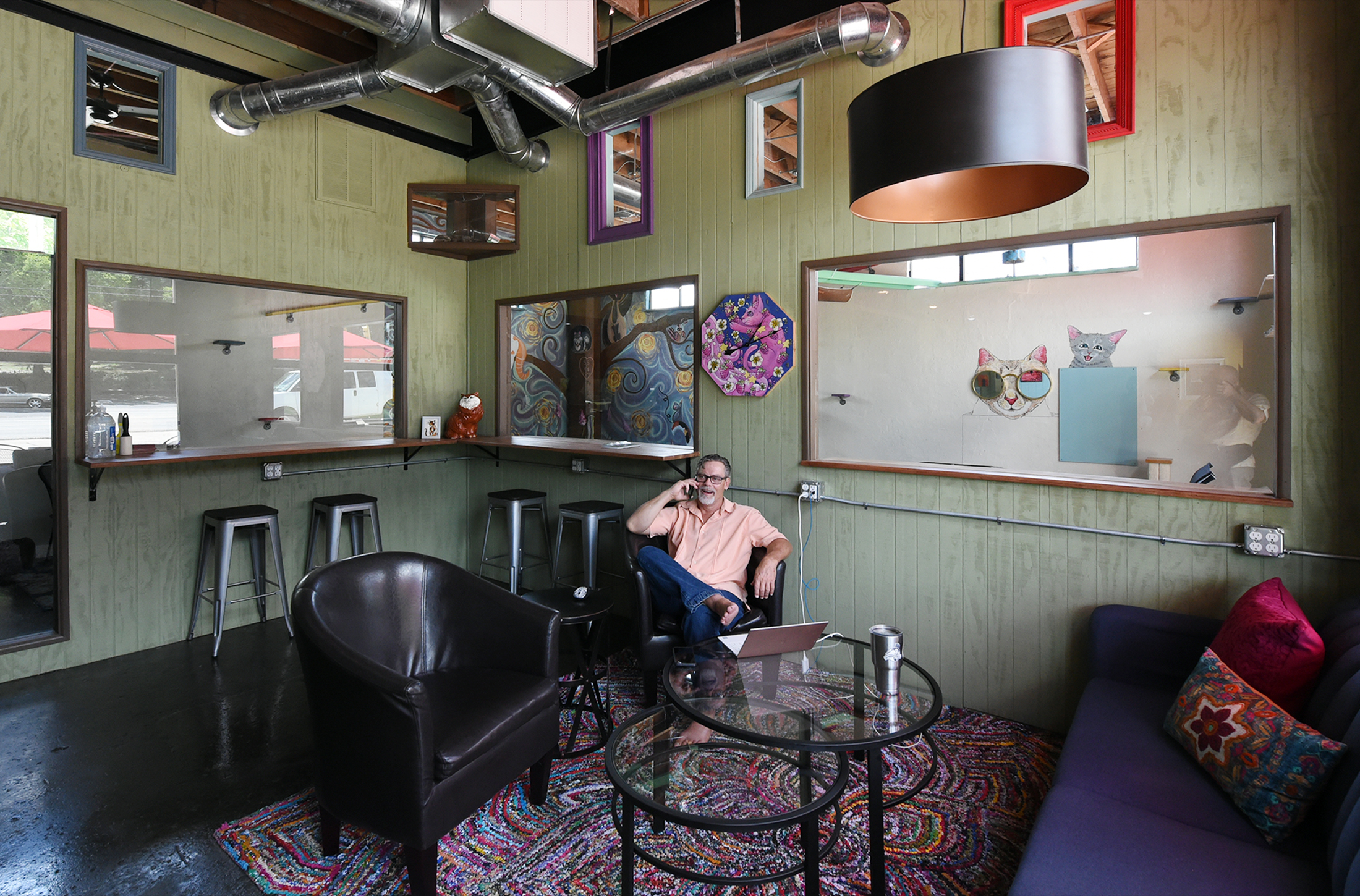 Check out Gatos and Beans, a cat friendly coffee shop in Birmingham ...