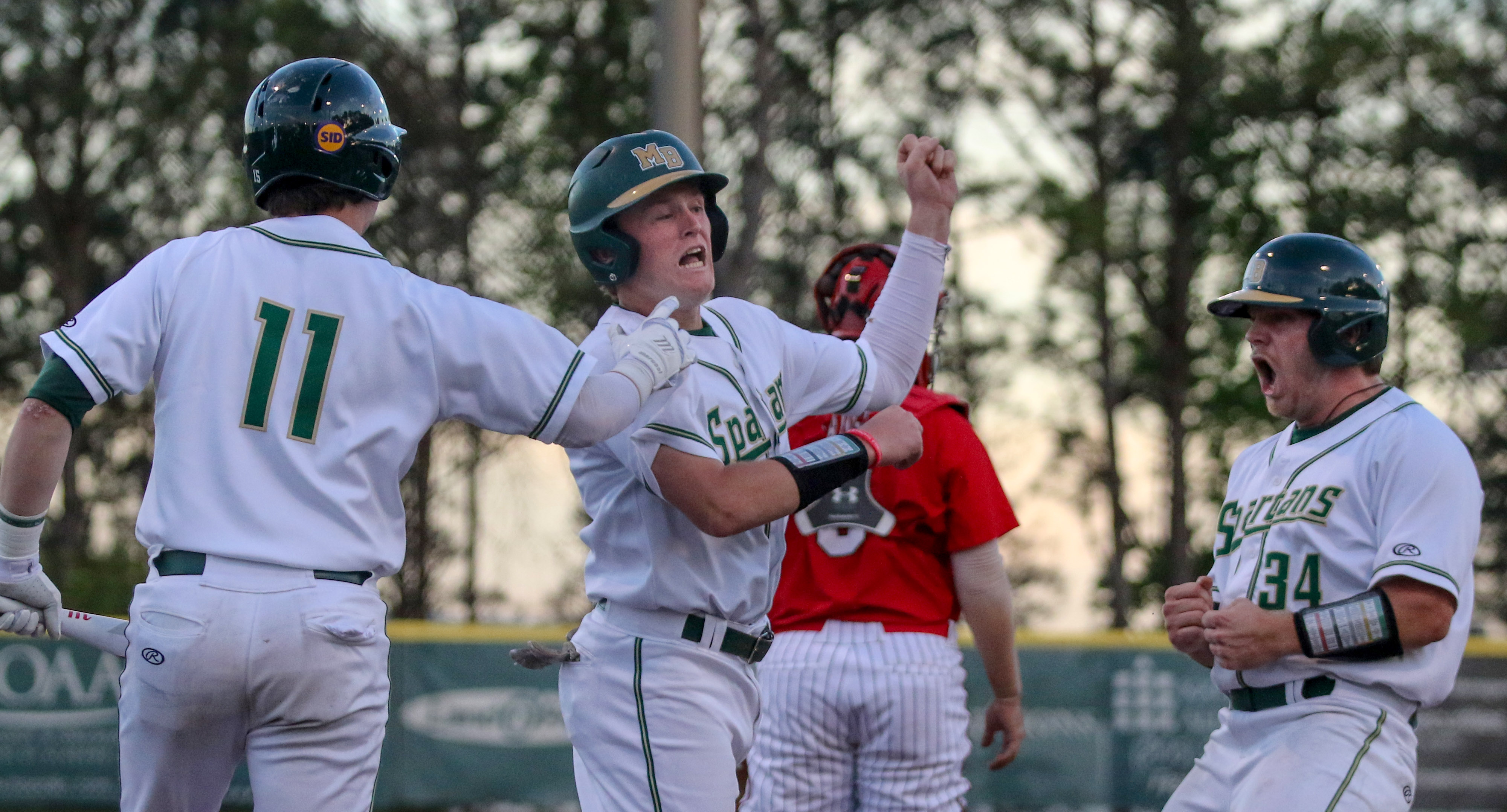 Hewitt-Trussville at Mountain Brook baseball - al.com