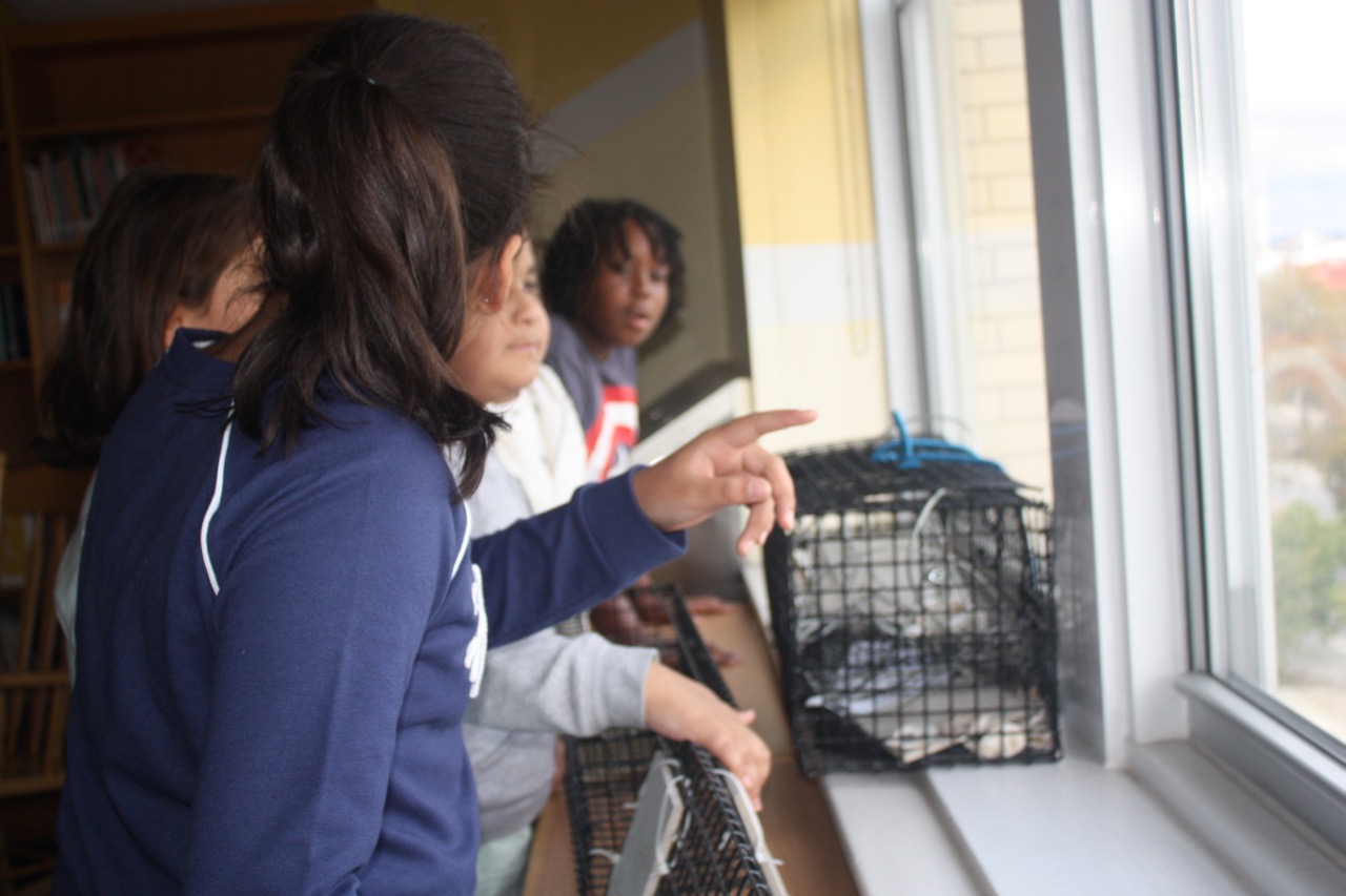 Students at PS 59 learn about New York Harbor - silive.com