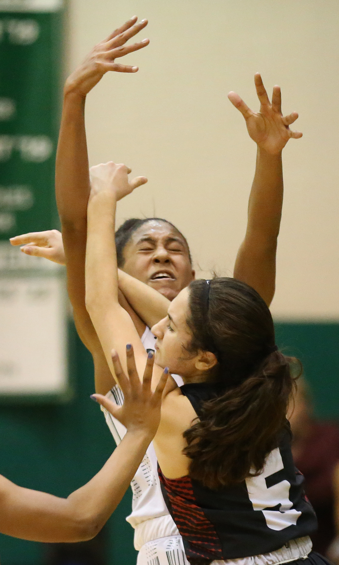 Laurel School's sister duo, Haley and Taylor Thierry - cleveland.com