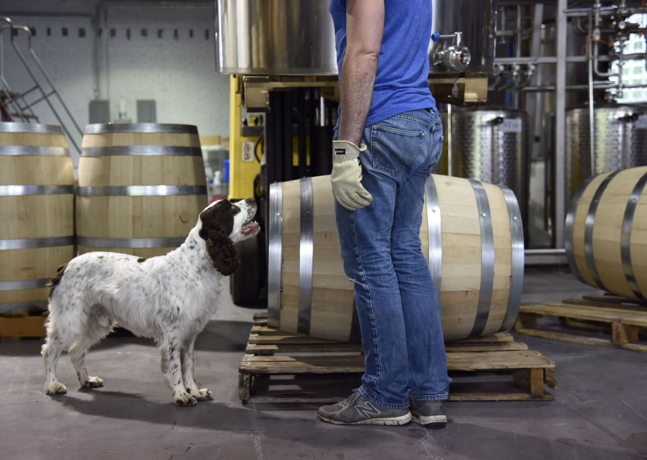 Ann Arbor Distillery Co. distills whiskey - mlive.com