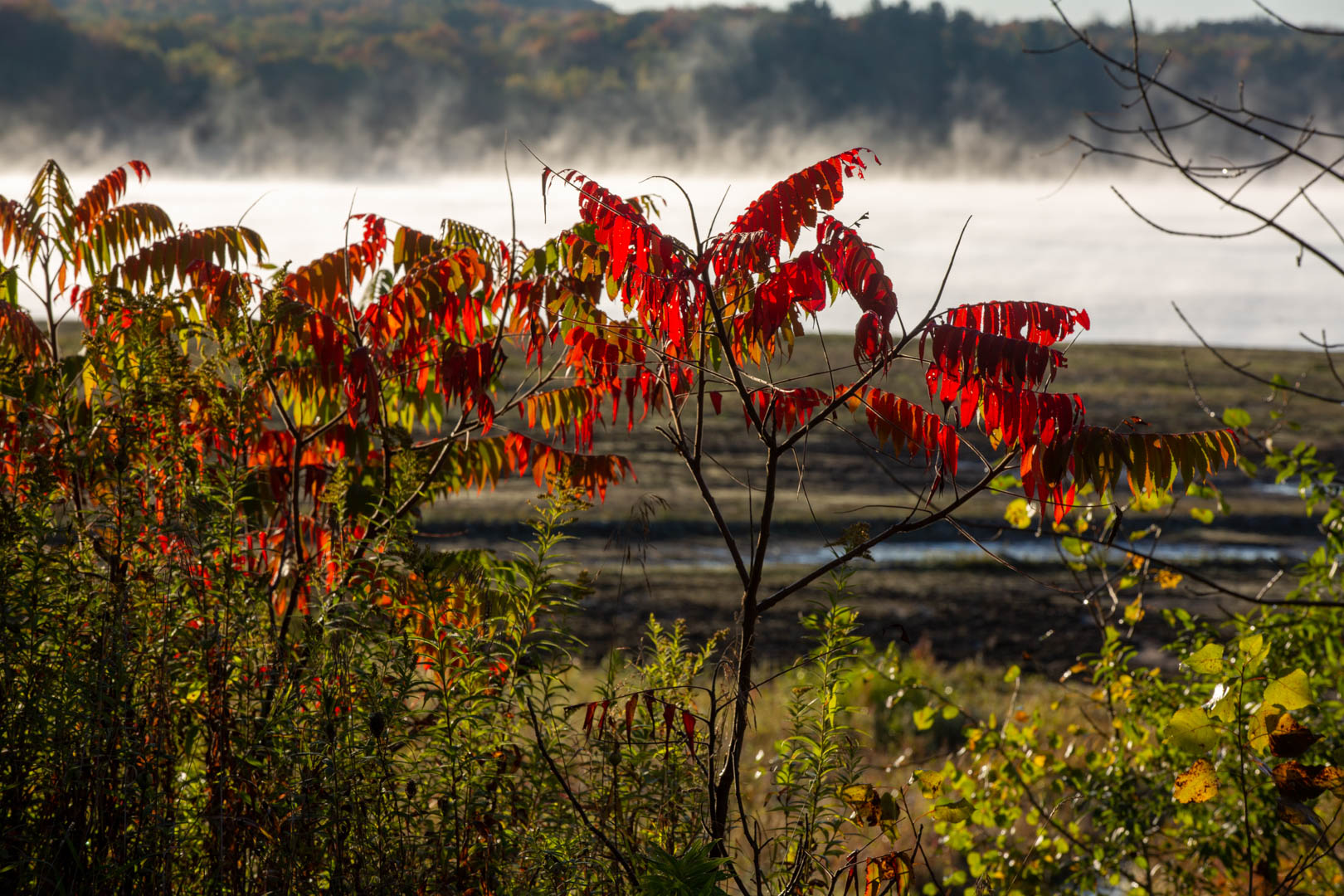 Peak colors explode in the Adirondacks - syracuse.com