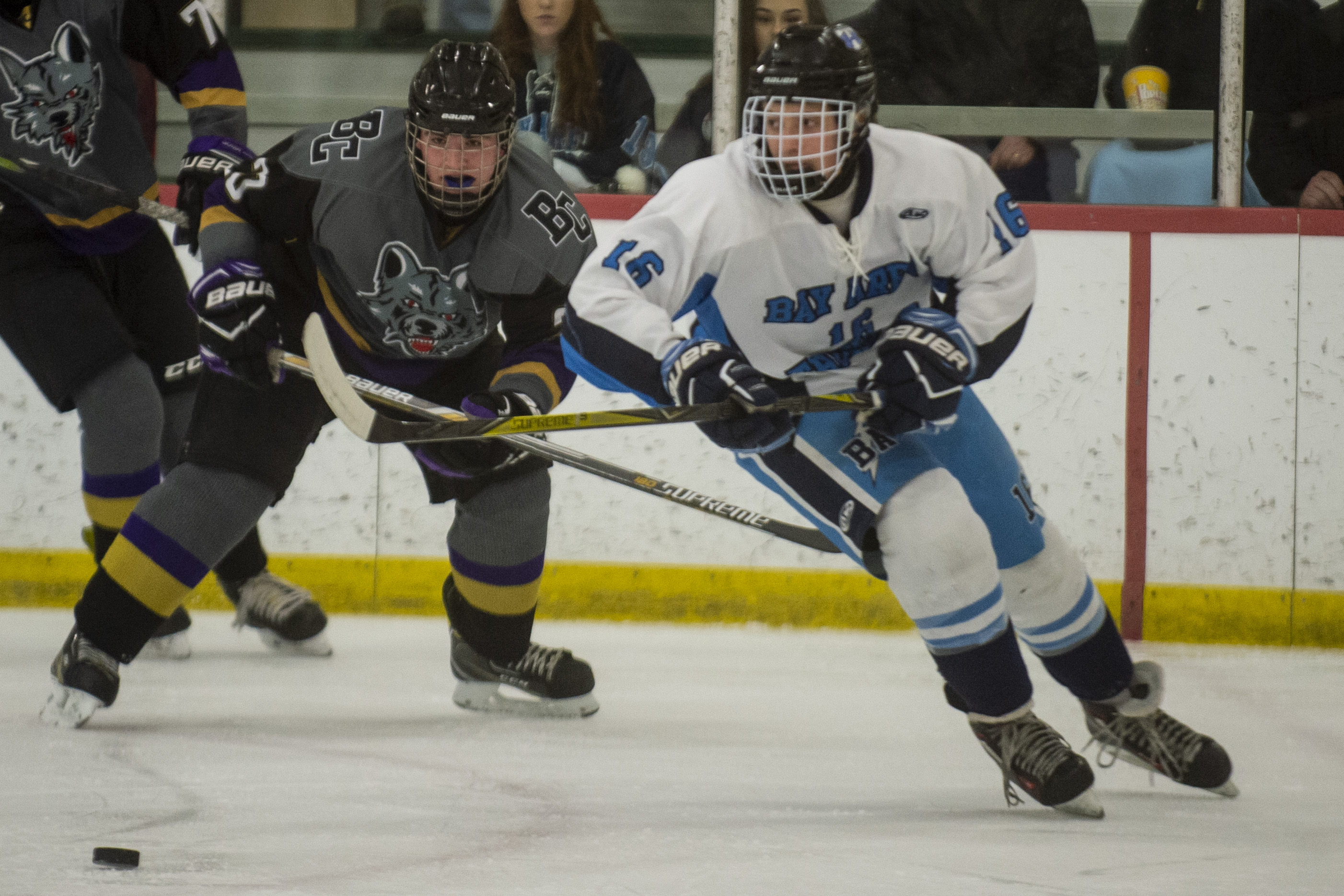Bay Area Thunder hosts Bay City Wolves hockey - mlive.com