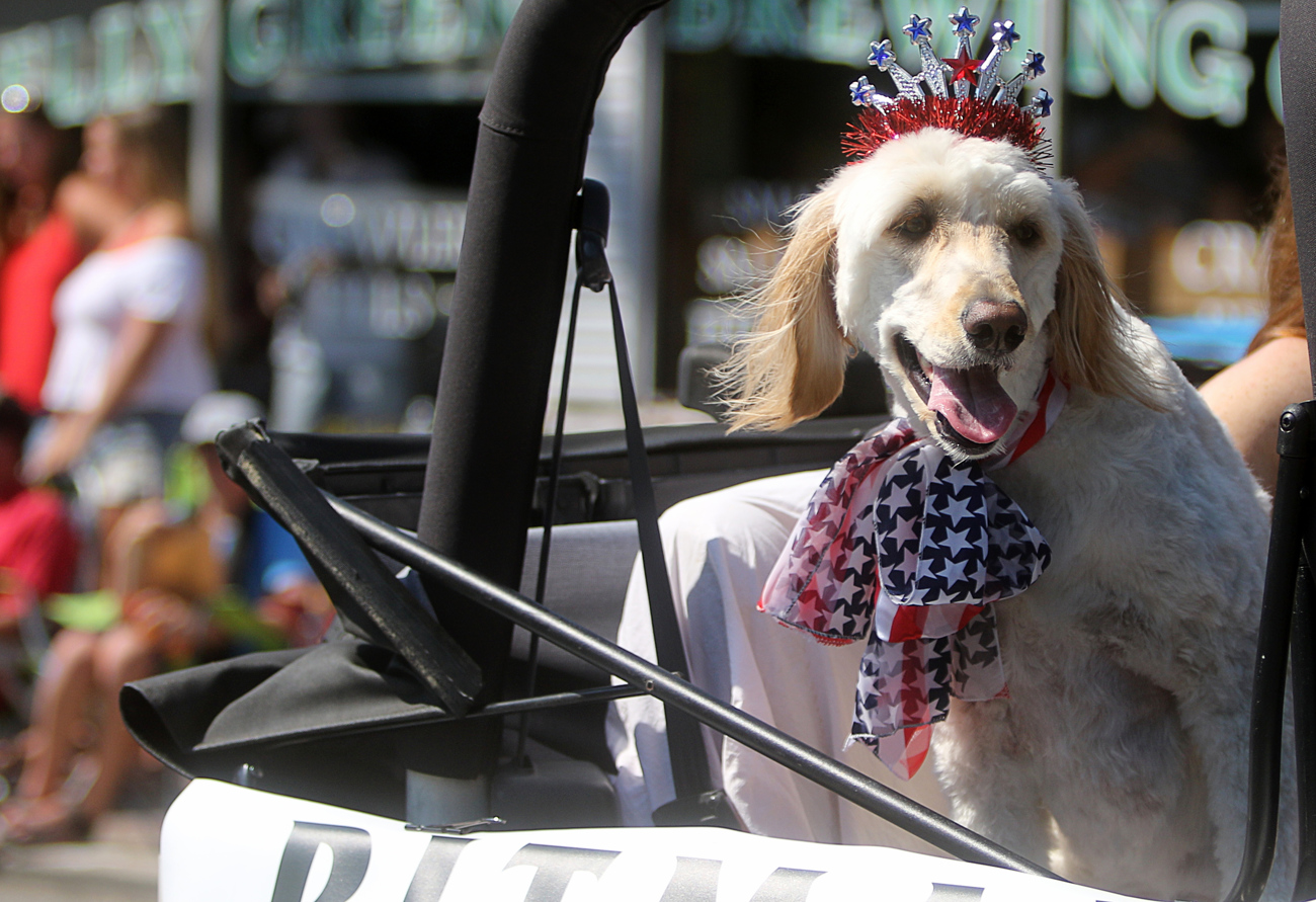 Pitman Independence Day Parade 2019 - nj.com