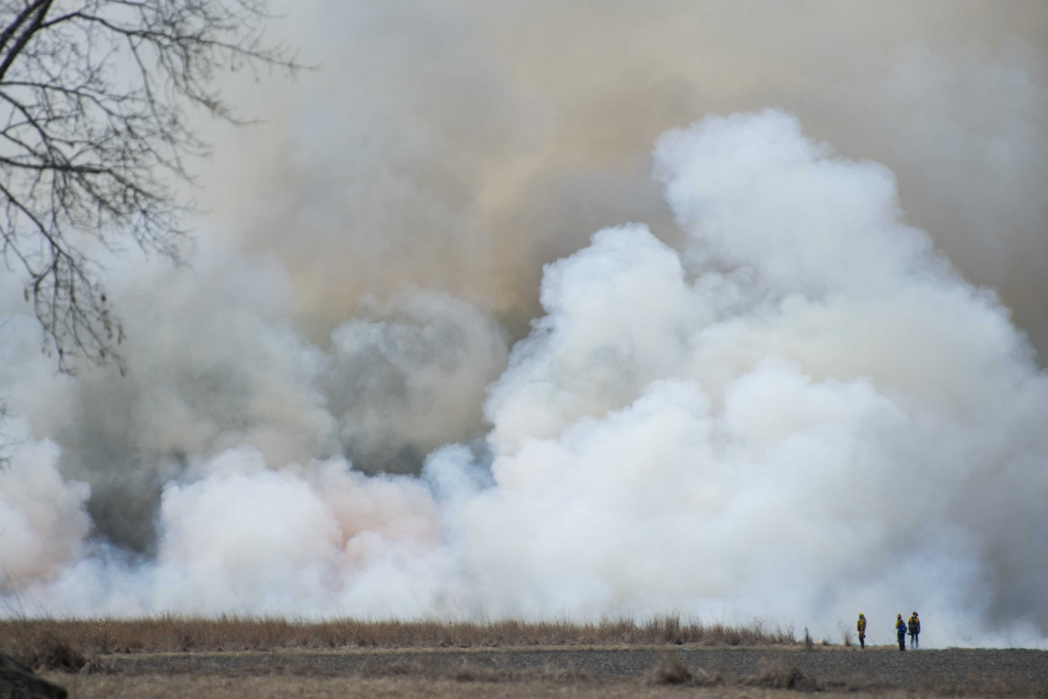 Shiawassee Refuge conducts prescribed burn to enhance wildlife habitat ...