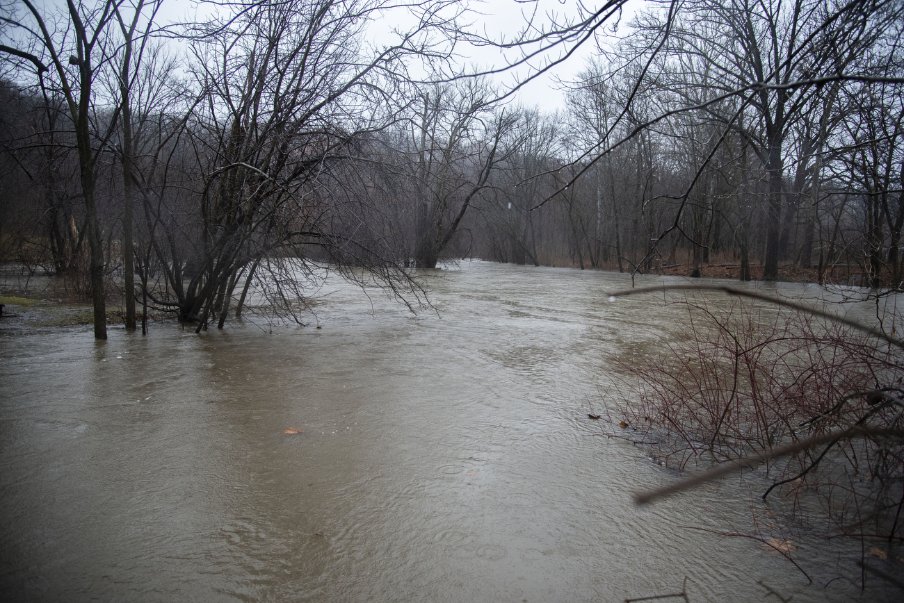 Flooding at Island Park in Ann Arbor - mlive.com