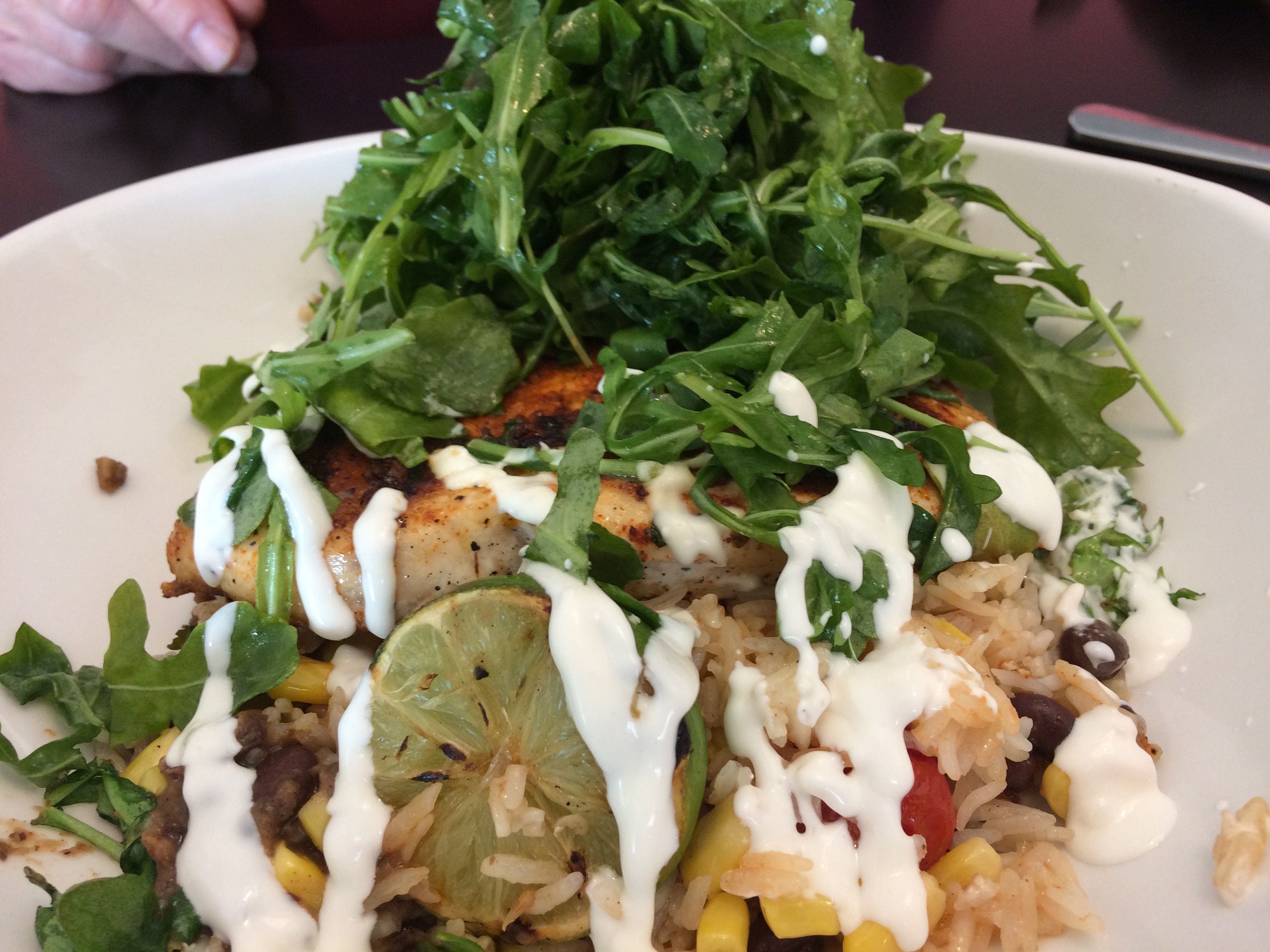 Review: 110 Grill in Syracuse - syracuse.com