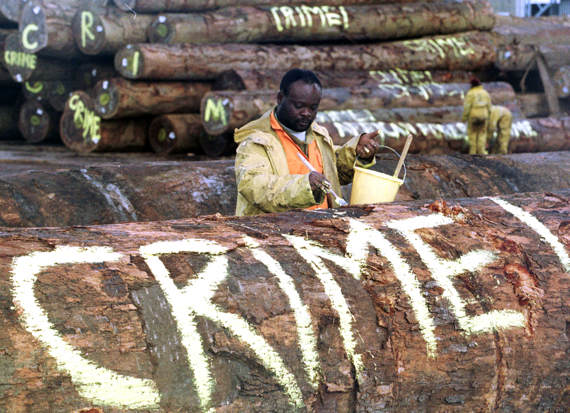 Illegal Logging