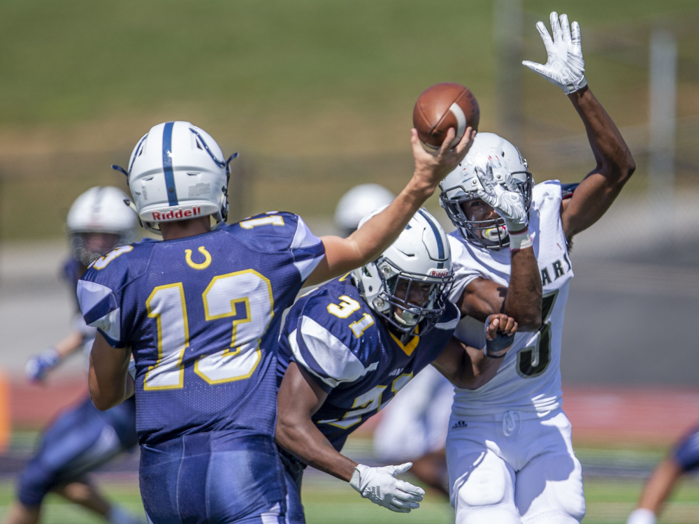 Harrisburg manhandles Cedar Cliff 41-7 - pennlive.com