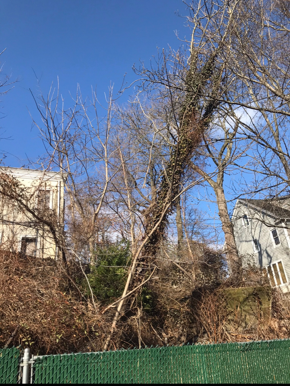 Zombie home property blight on Great Kills community - silive.com