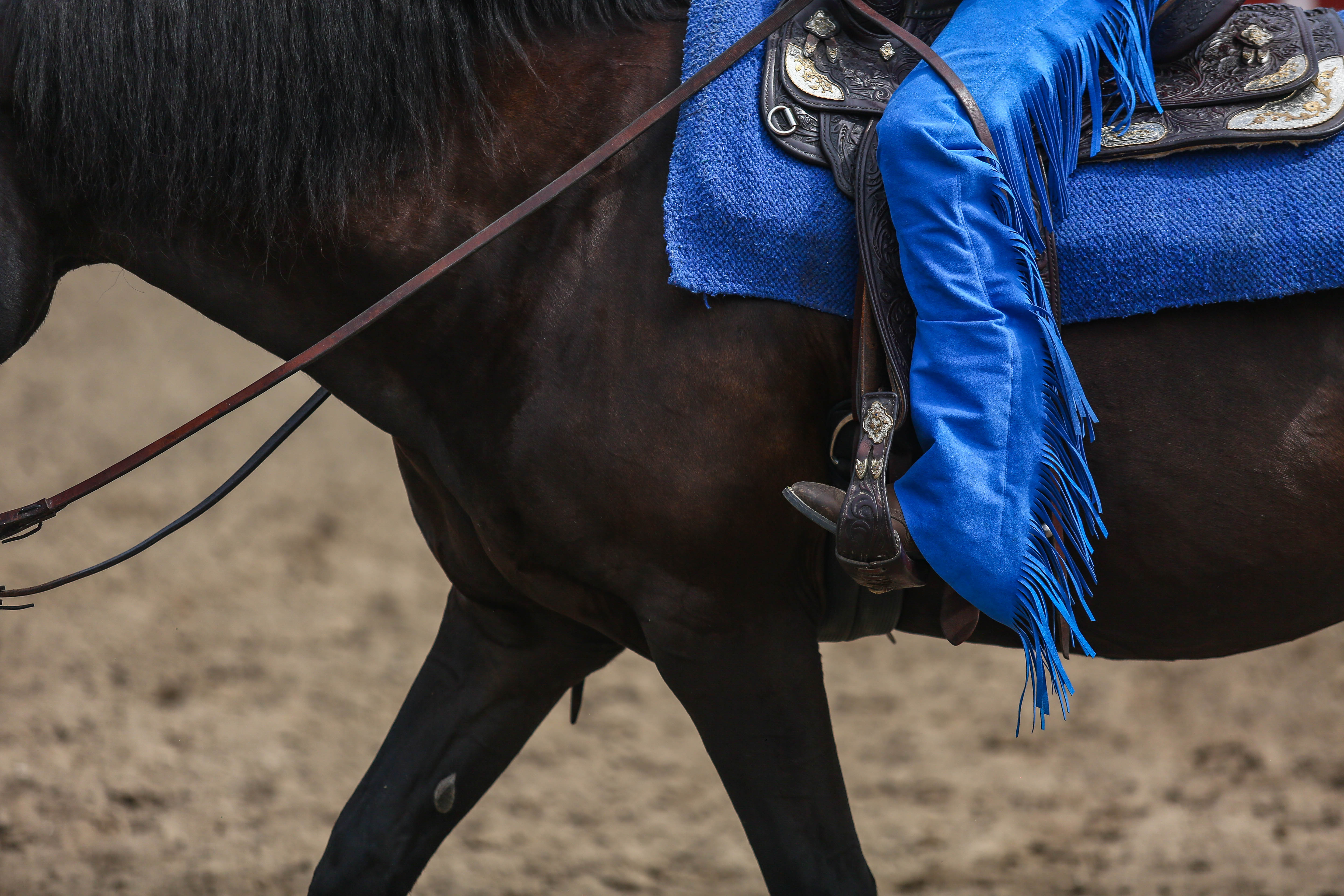 See photos from Muskegon County Fair 2019 - mlive.com