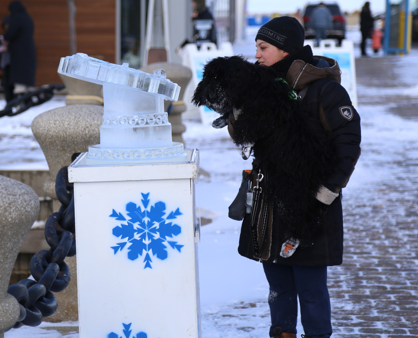 Check out these cool (pun intended) ice sculptures at the Ice Fest ...
