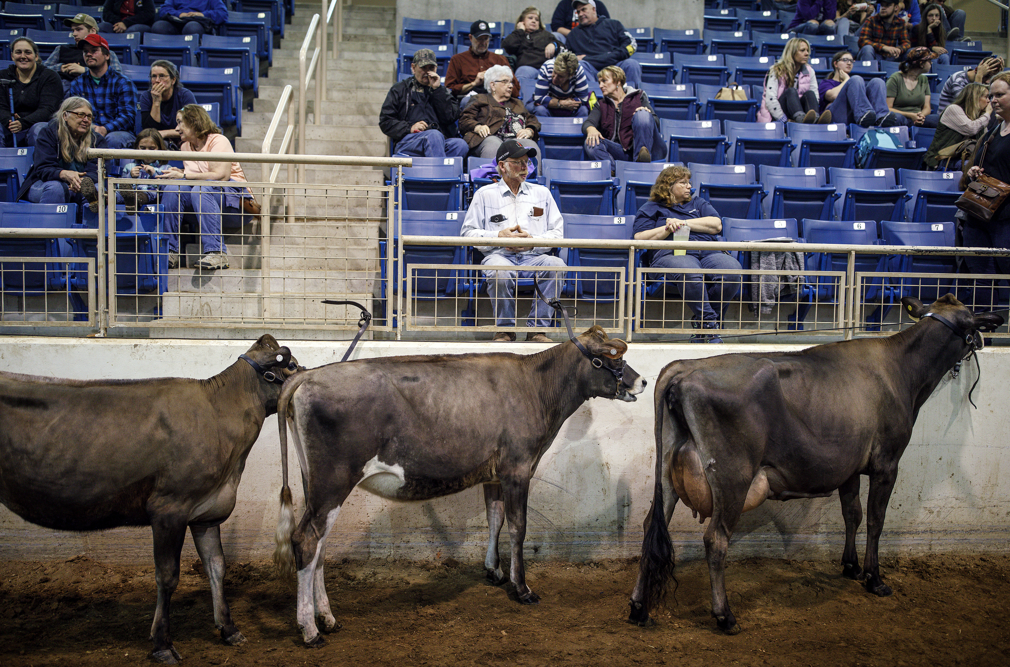 Pa. State Farm Show: Best photos from 2018 - pennlive.com