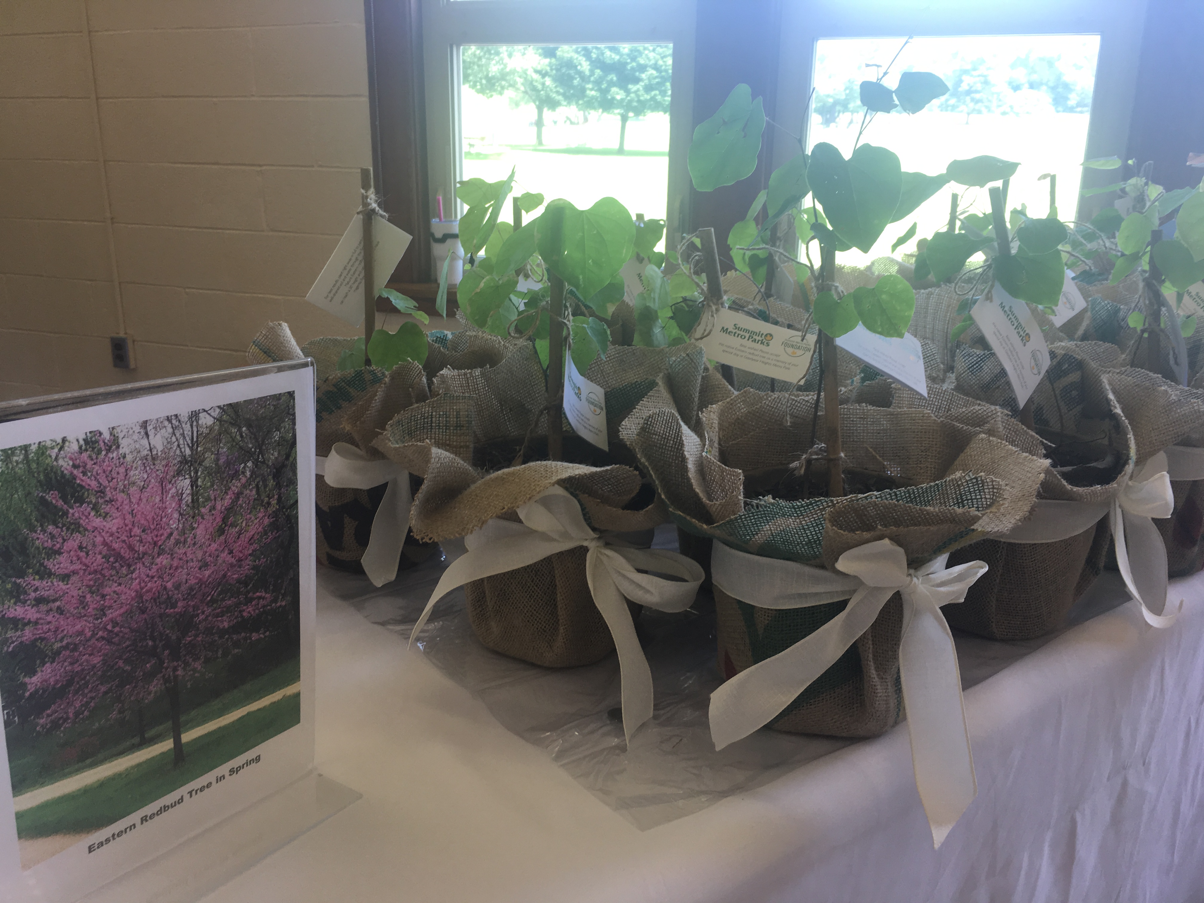 Couples get married, renew vows in group ceremony at Goodyear Heights ...