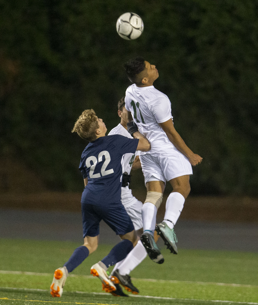 Central Dauphin boys defeat Dallastown 1-0 to win the District 3, 4A ...