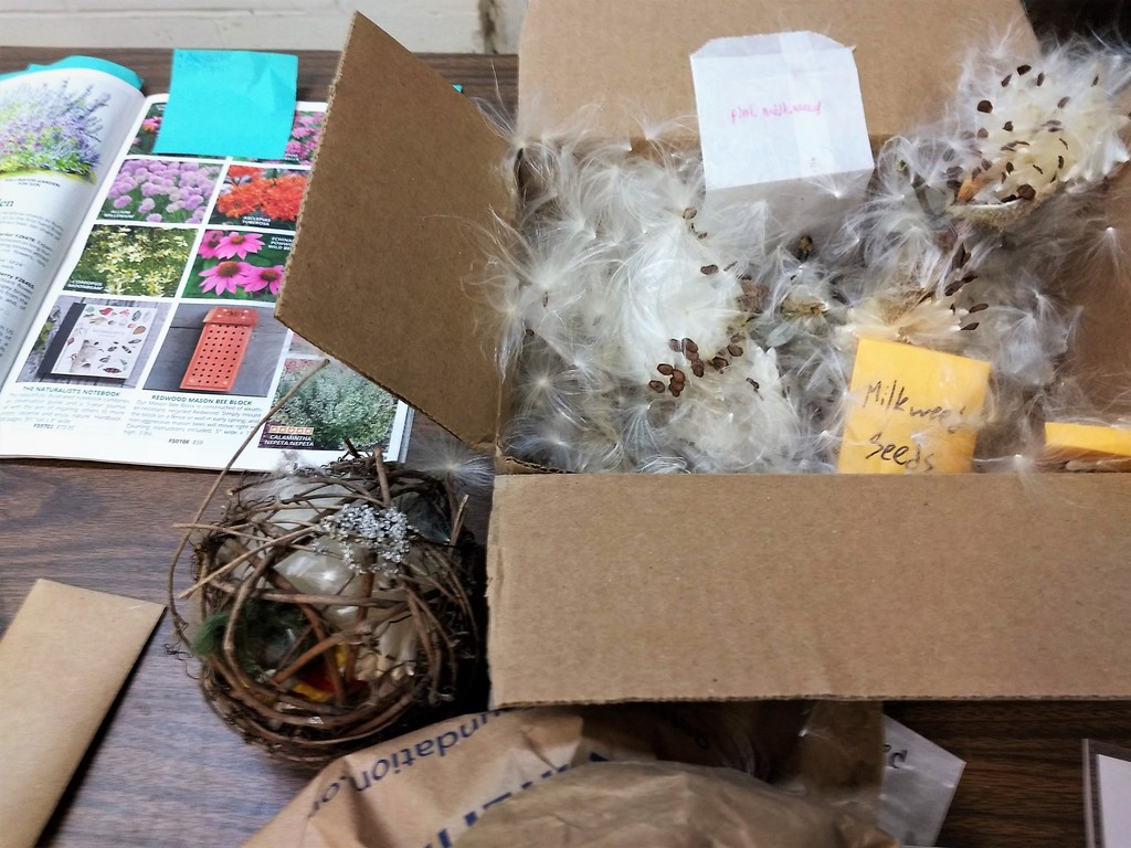 Staten Island sows seeds for spring planting - silive.com