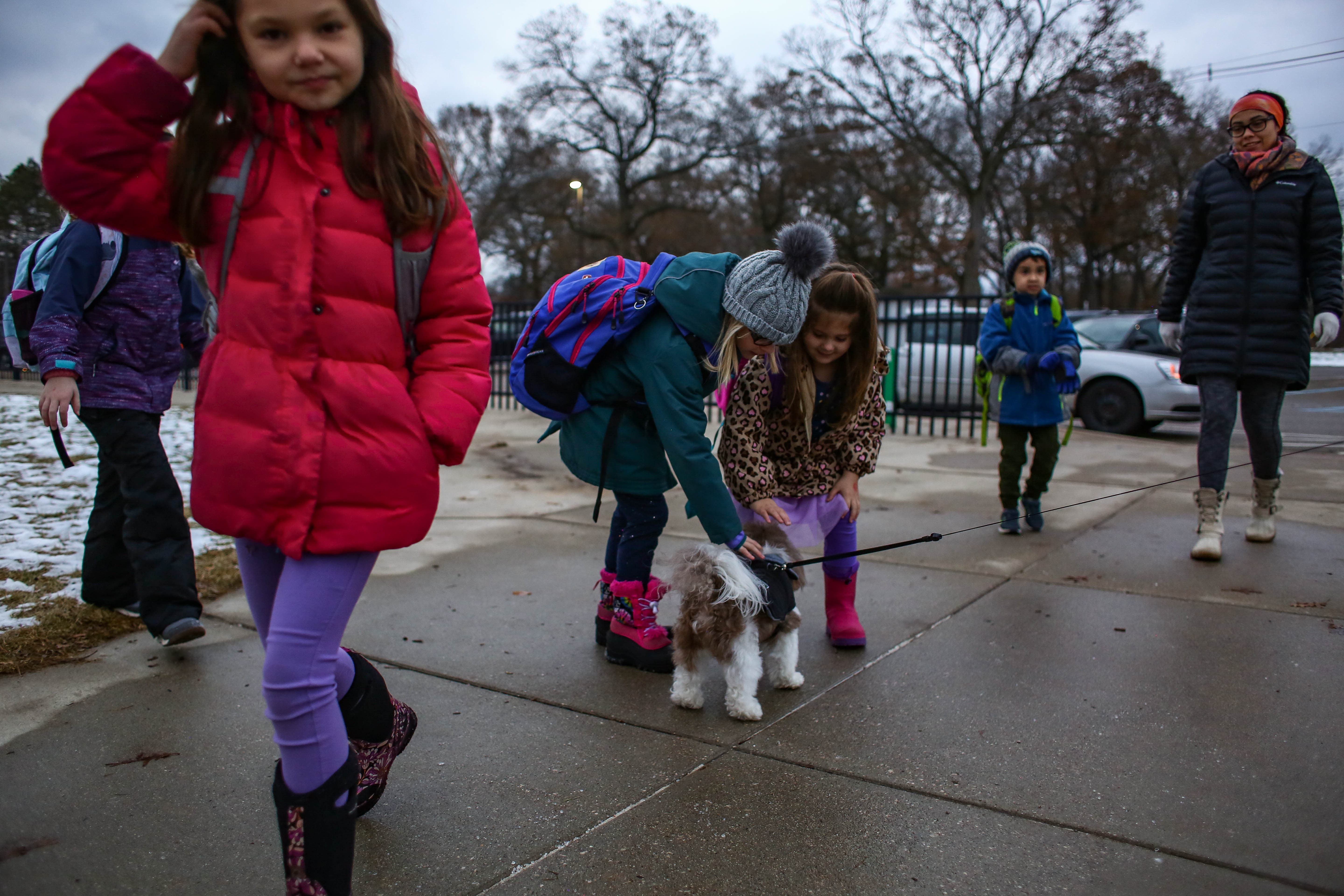 Therapy dog transforms elementary school - mlive.com