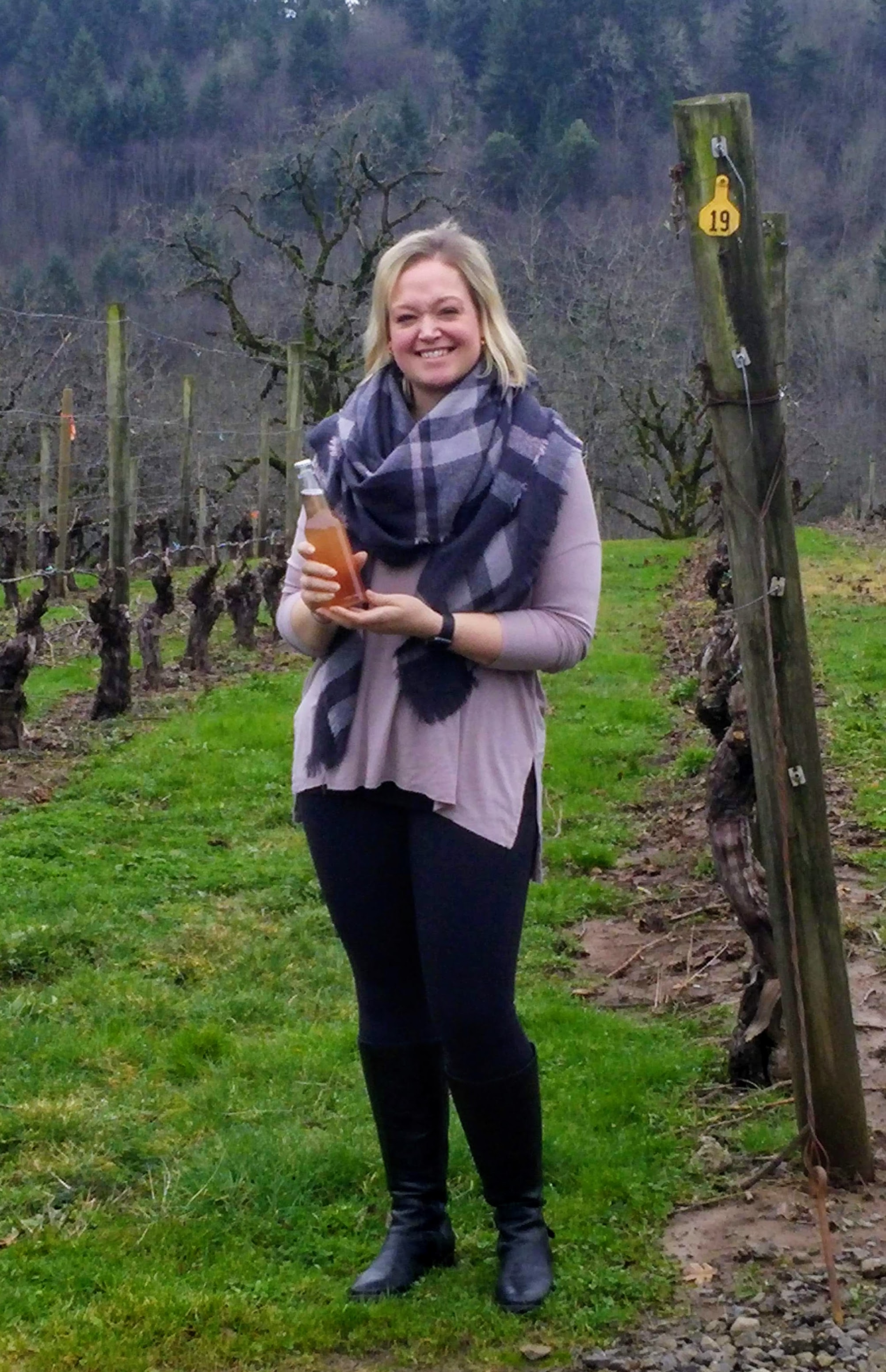 Is piquette Oregon's next big wine? - oregonlive.com