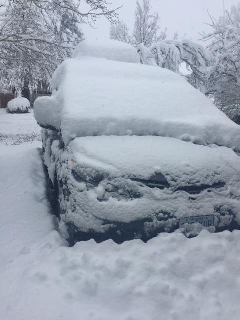 Eugene snow, Feb. 25, 2019 - oregonlive.com