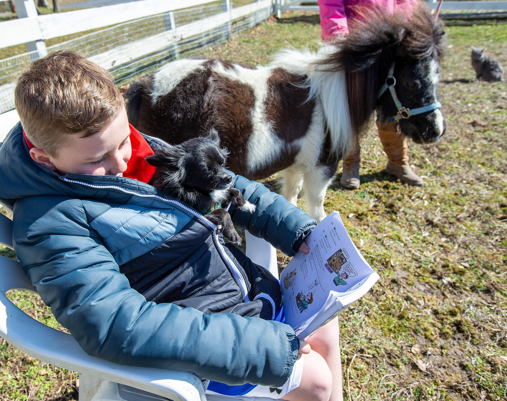 Paws N’ Read program held at CATRA for Read Across America - pennlive.com