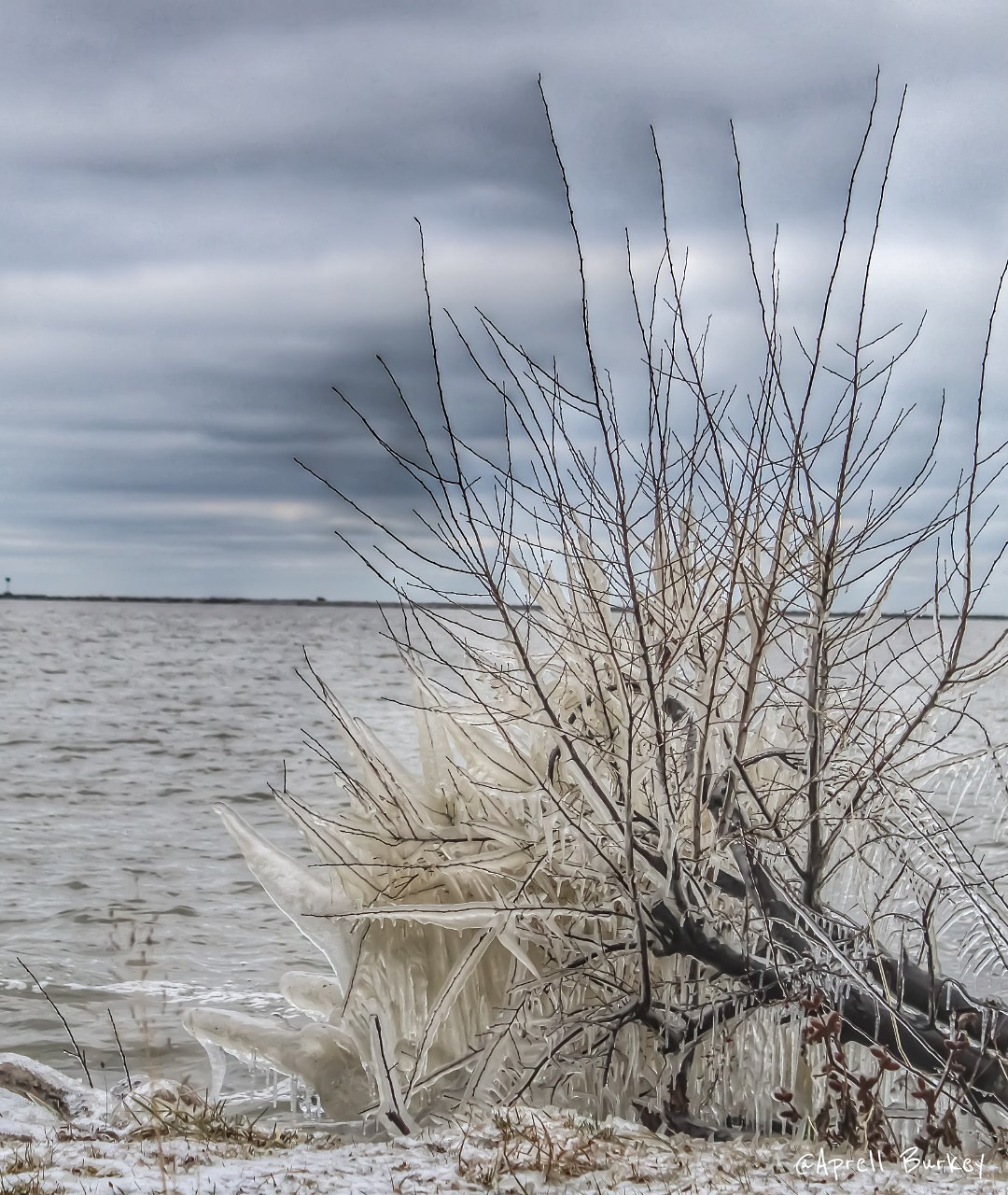 RocktheLake Winter Beach photo contest - cleveland.com