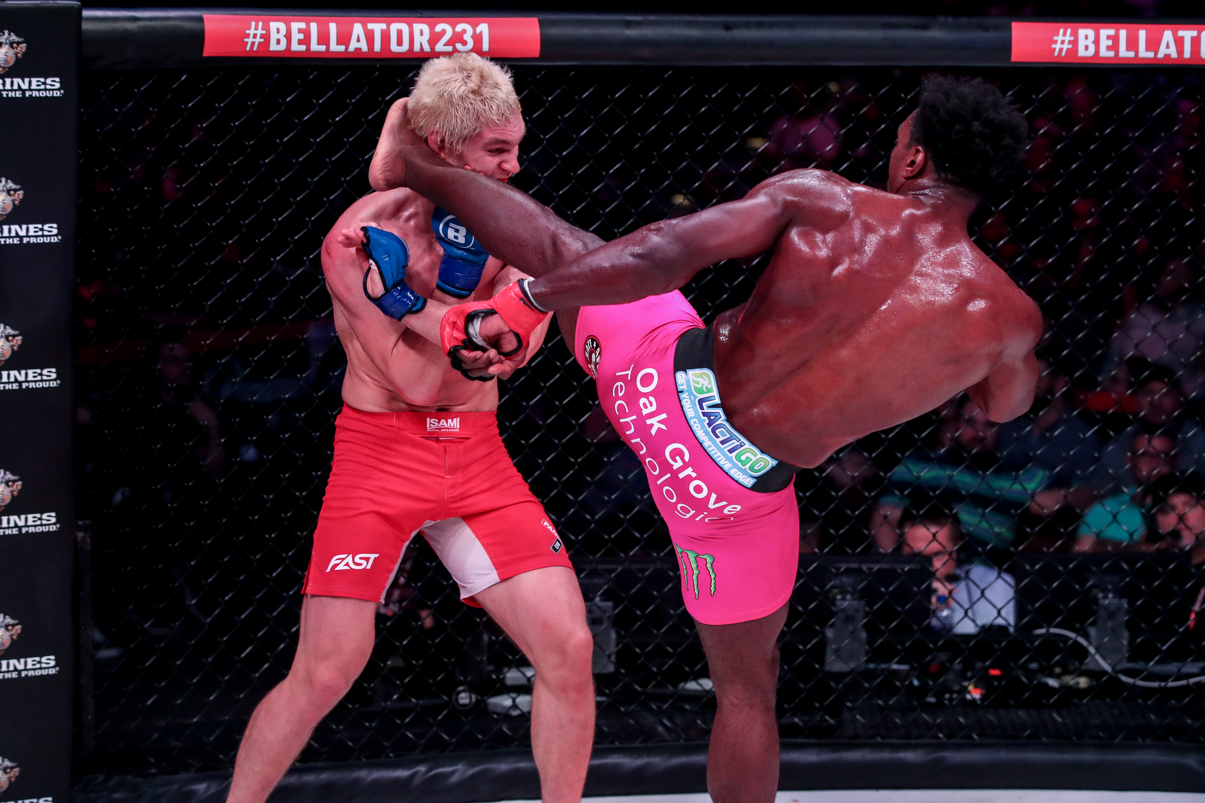 Phil Davis defeats Karl Albrektsson at Bellator 231 - pennlive.com
