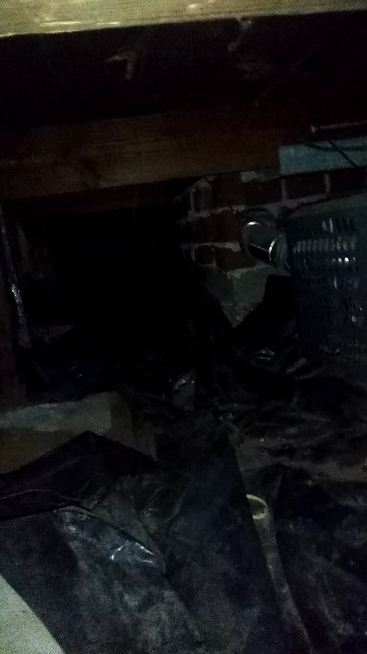 Oregon man in onesie, cat named Spaghetti found hiding in crawl space ...