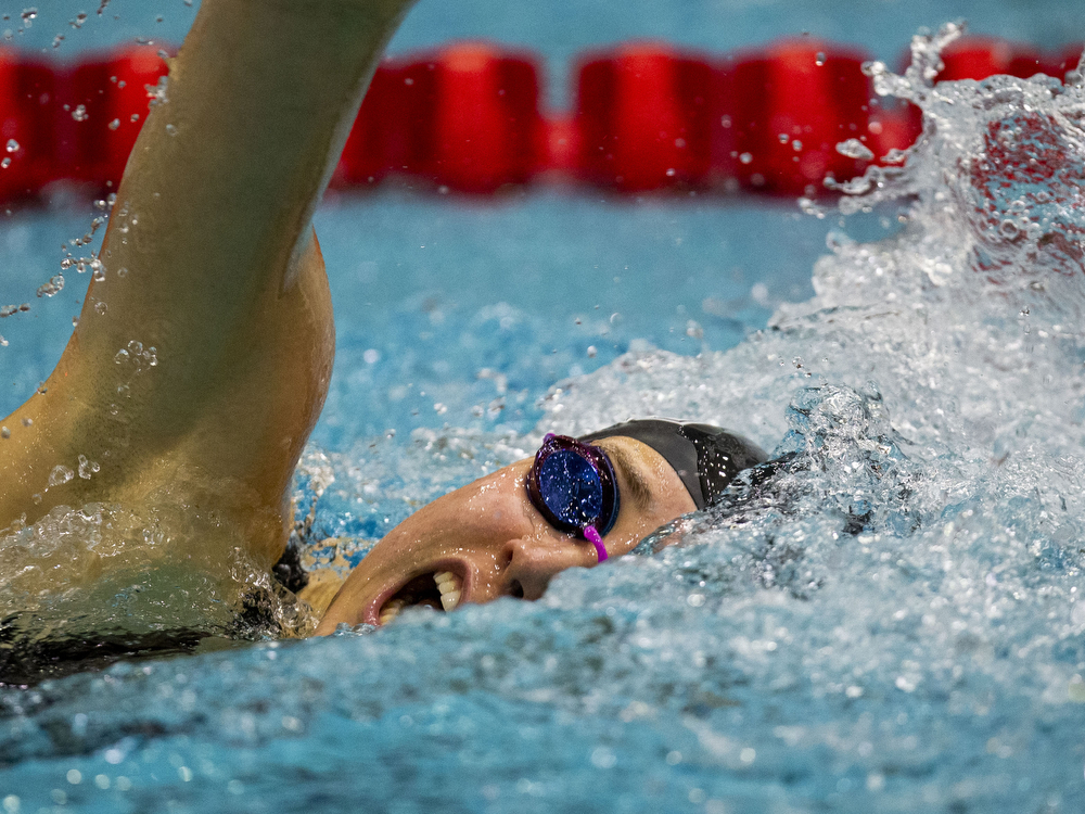 The 2019 MId Penn Swimming Championships produced some personal bests ...