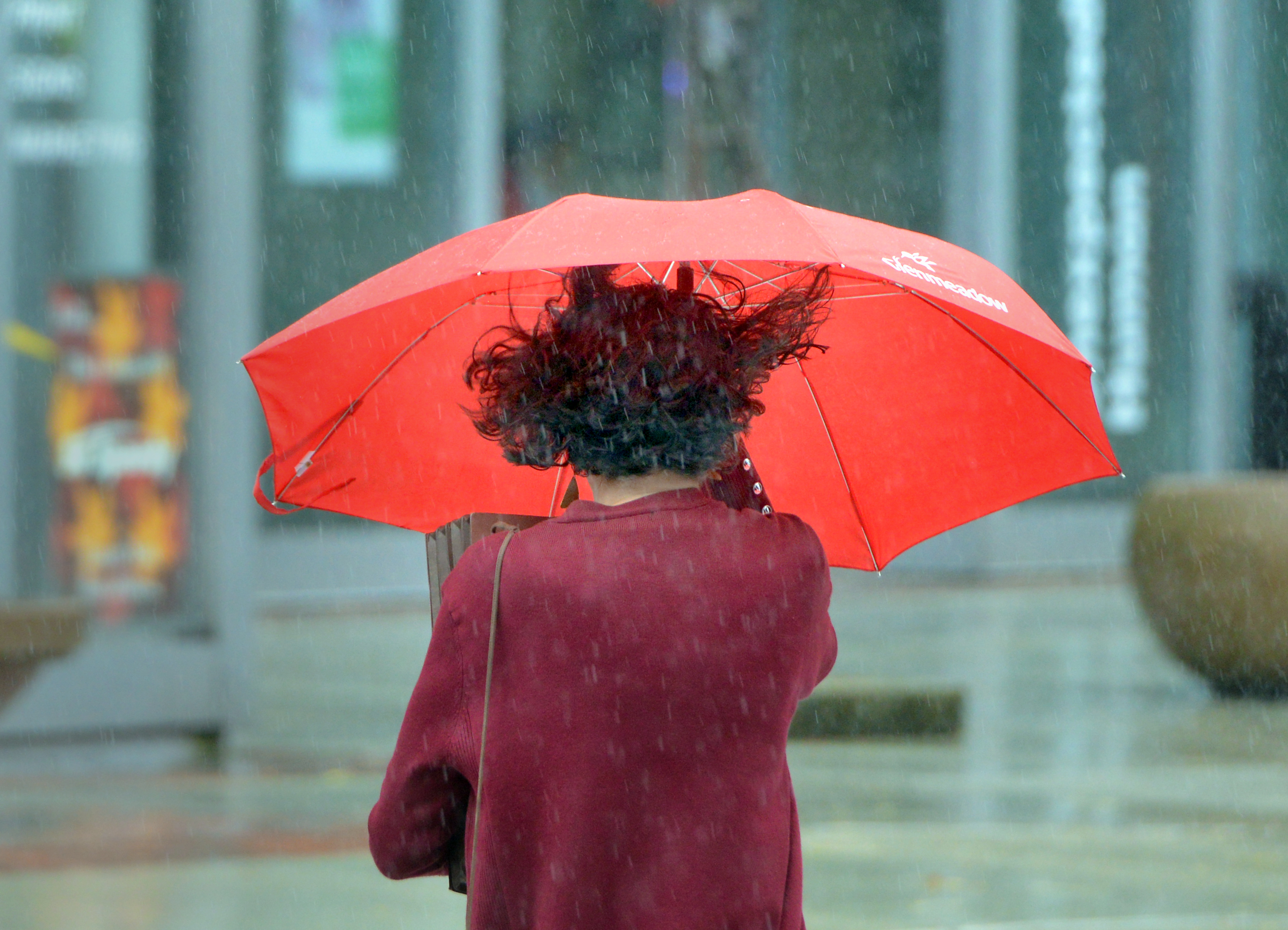 Rain, wind make umbrellas tough tool in downtown Springfield - masslive.com