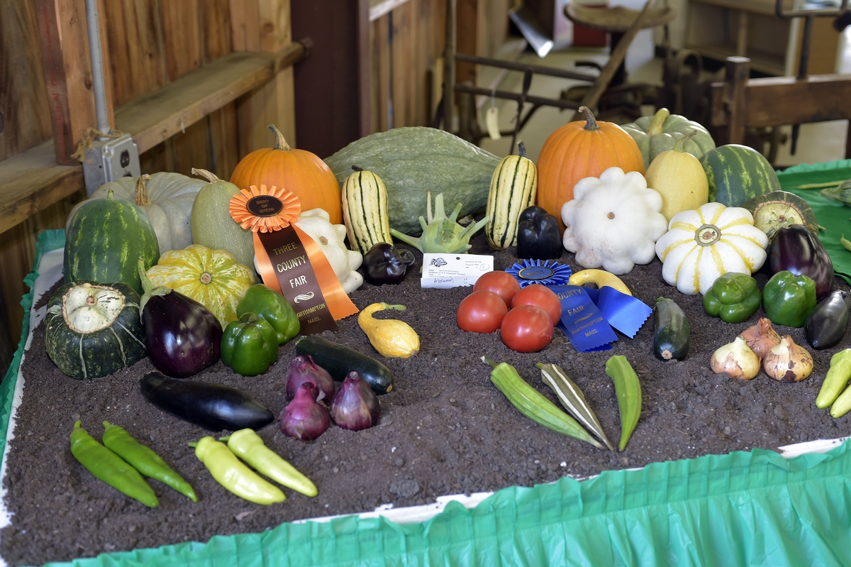 Seen@ the Three County Fair in Northampton - masslive.com