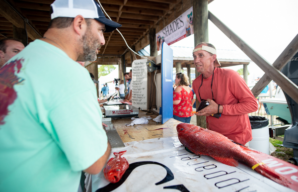2019 Alabama Deep Sea Fishing Rodeo - al.com